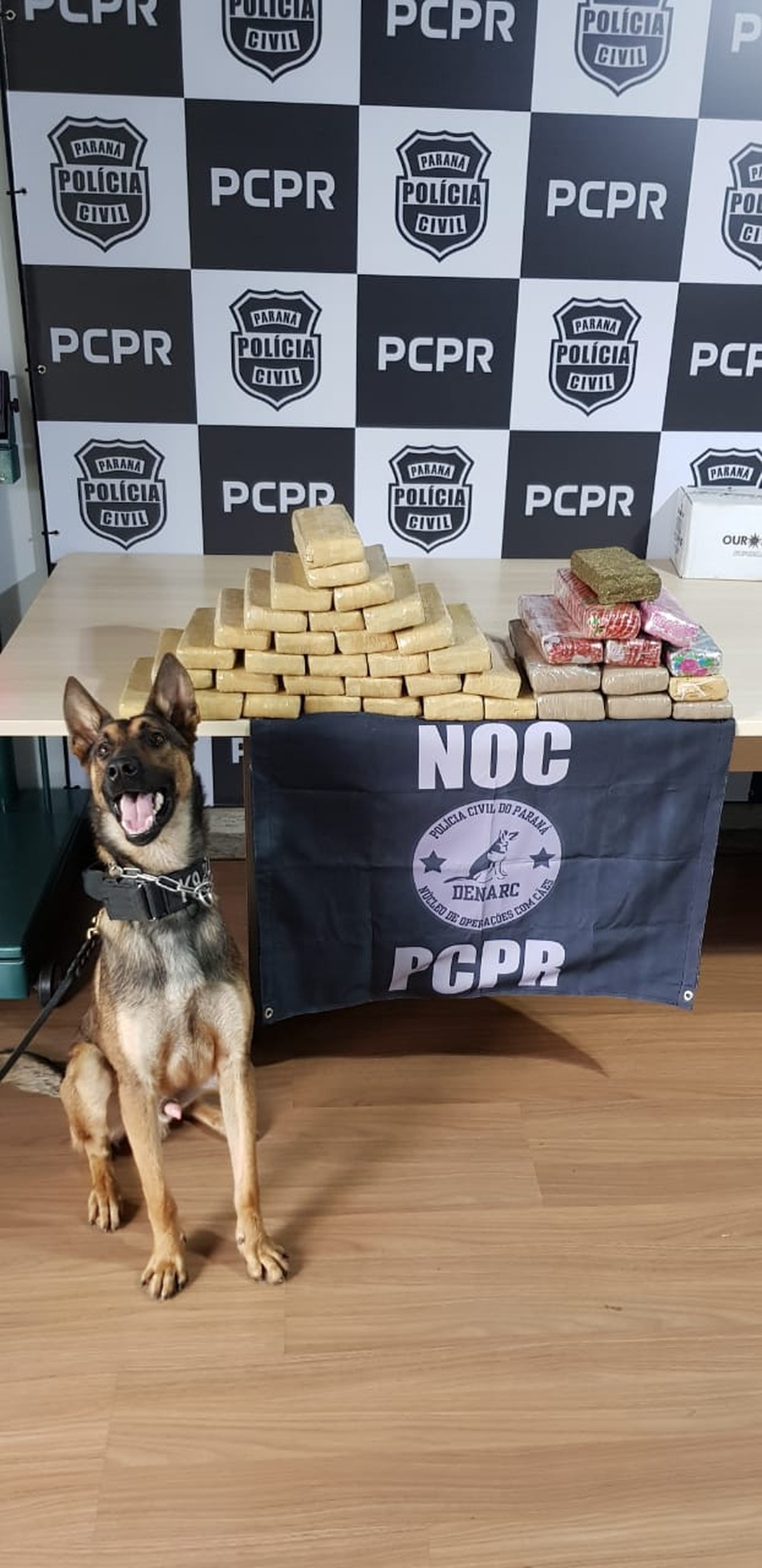 Passageiro é Preso Em Flagrante Com Maconha Escondida Em Mala Na