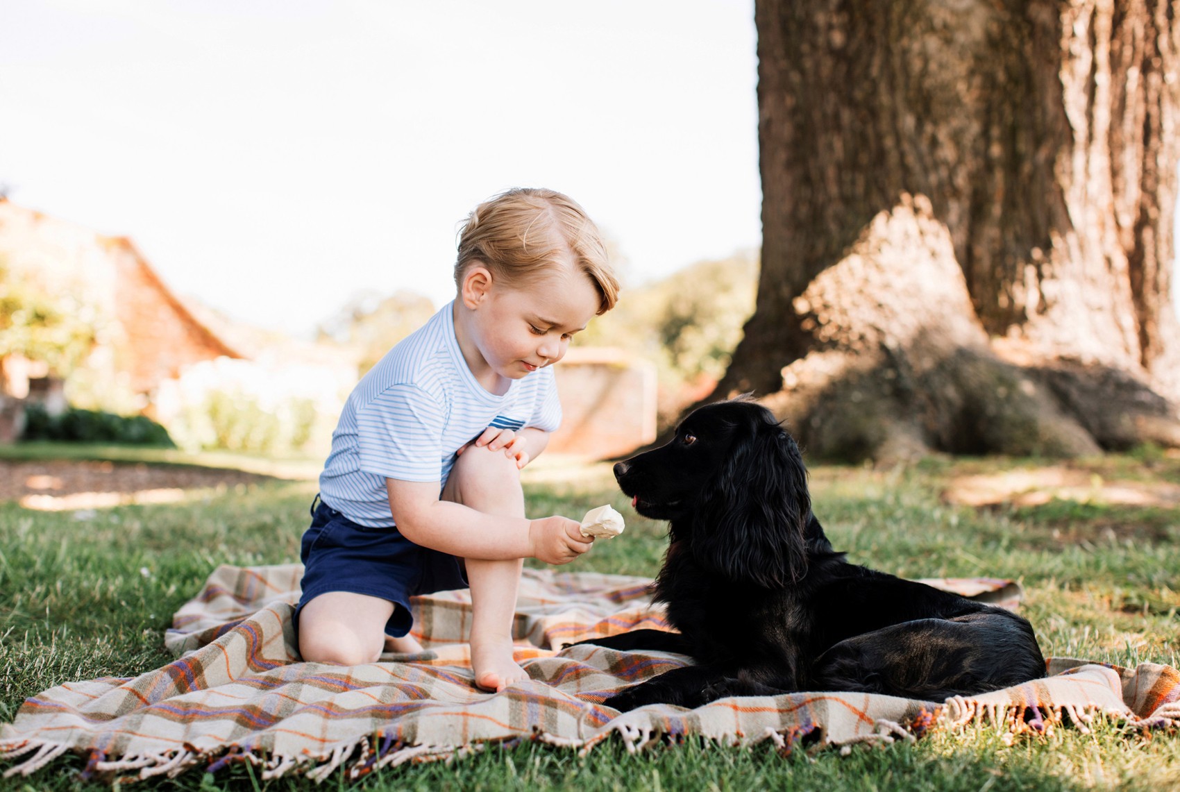 Família Real Britânica divulga foto do príncipe George, que completa 10 ...