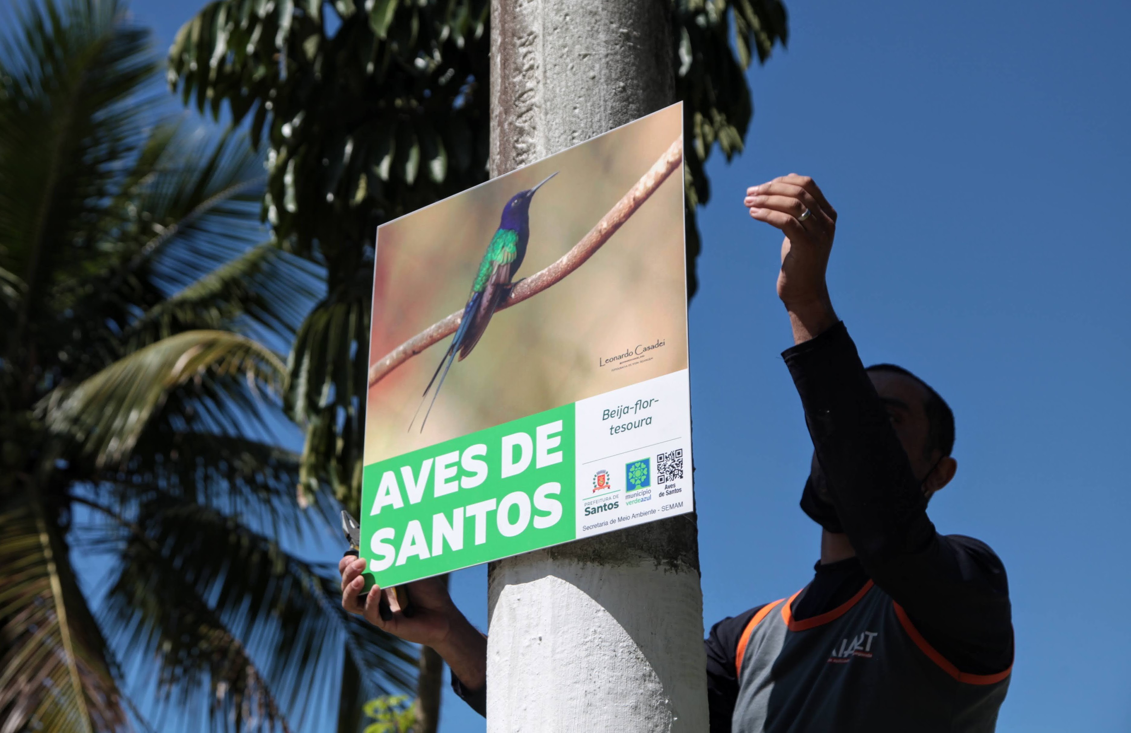 Santos instala 50 novas placas mostrando as espécies de aves que vivem ...