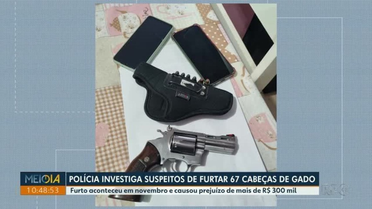 Homem é Preso Durante Operação Que Investiga Furto De 67 Gados Em