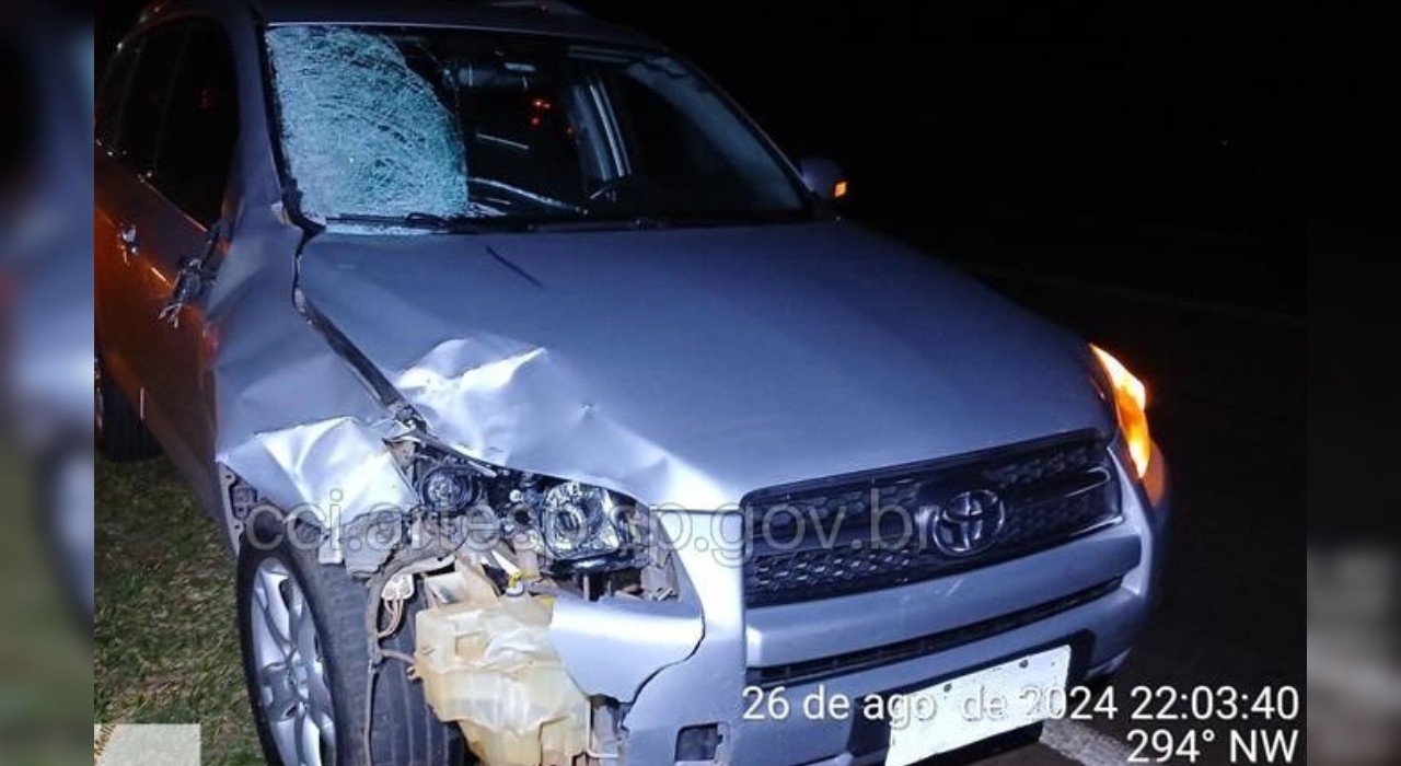 Pedestre morre atropelado na Rodovia João Mellão em Avaré | G1