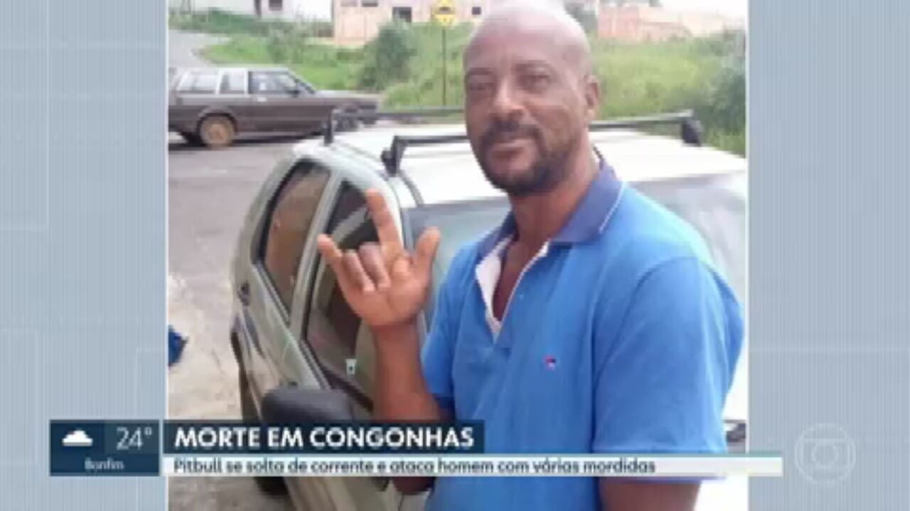 Homem morre ao ser atacado por pitbull durante festa em MG | Minas Gerais | G1