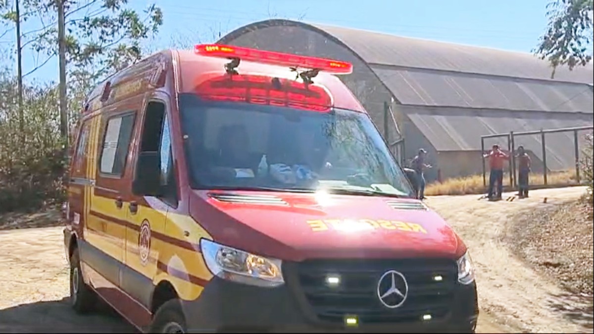 Motorista morre atropelado pelo próprio caminhão em Limeira | Piracicaba e Região | G1