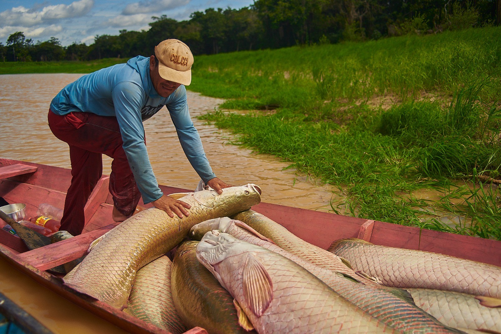 'Feira do Pirarucu' acontece neste fim de semana em Manaus com peixe a ...