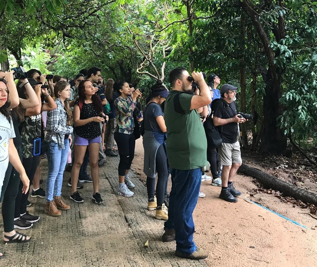 Parque do Cocó, em Fortaleza, recebe mais de 106 mil visitantes no ...