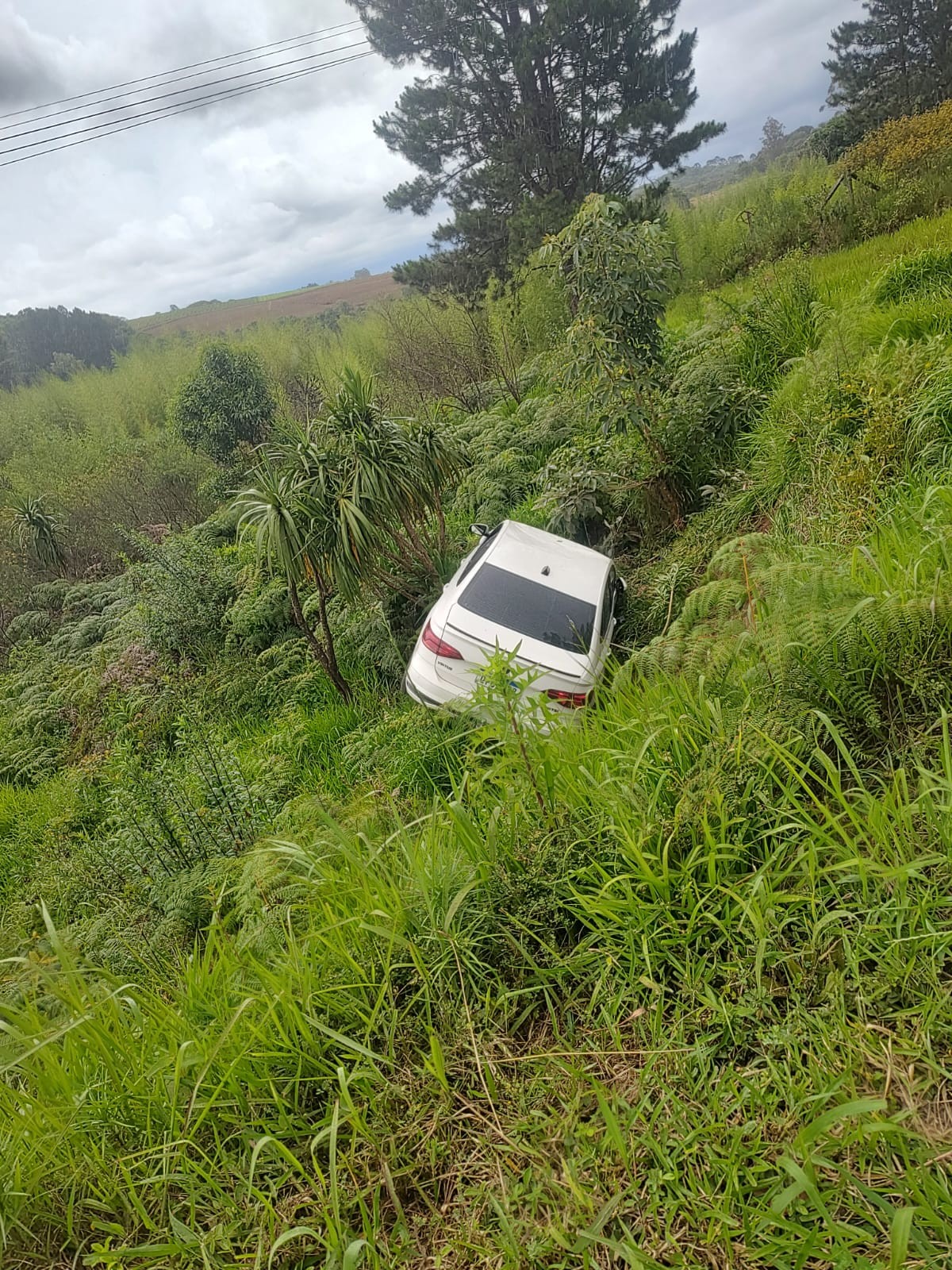 Carro é partido ao meio após bater em outro veículo em rodovia de ...