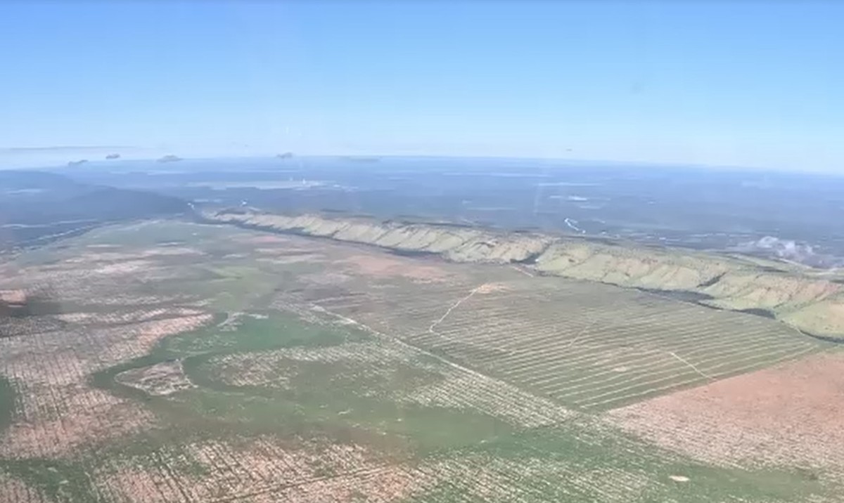 Desmatamento na Mata Atlântica cai 27% no país em 2023, mas aumenta na ...