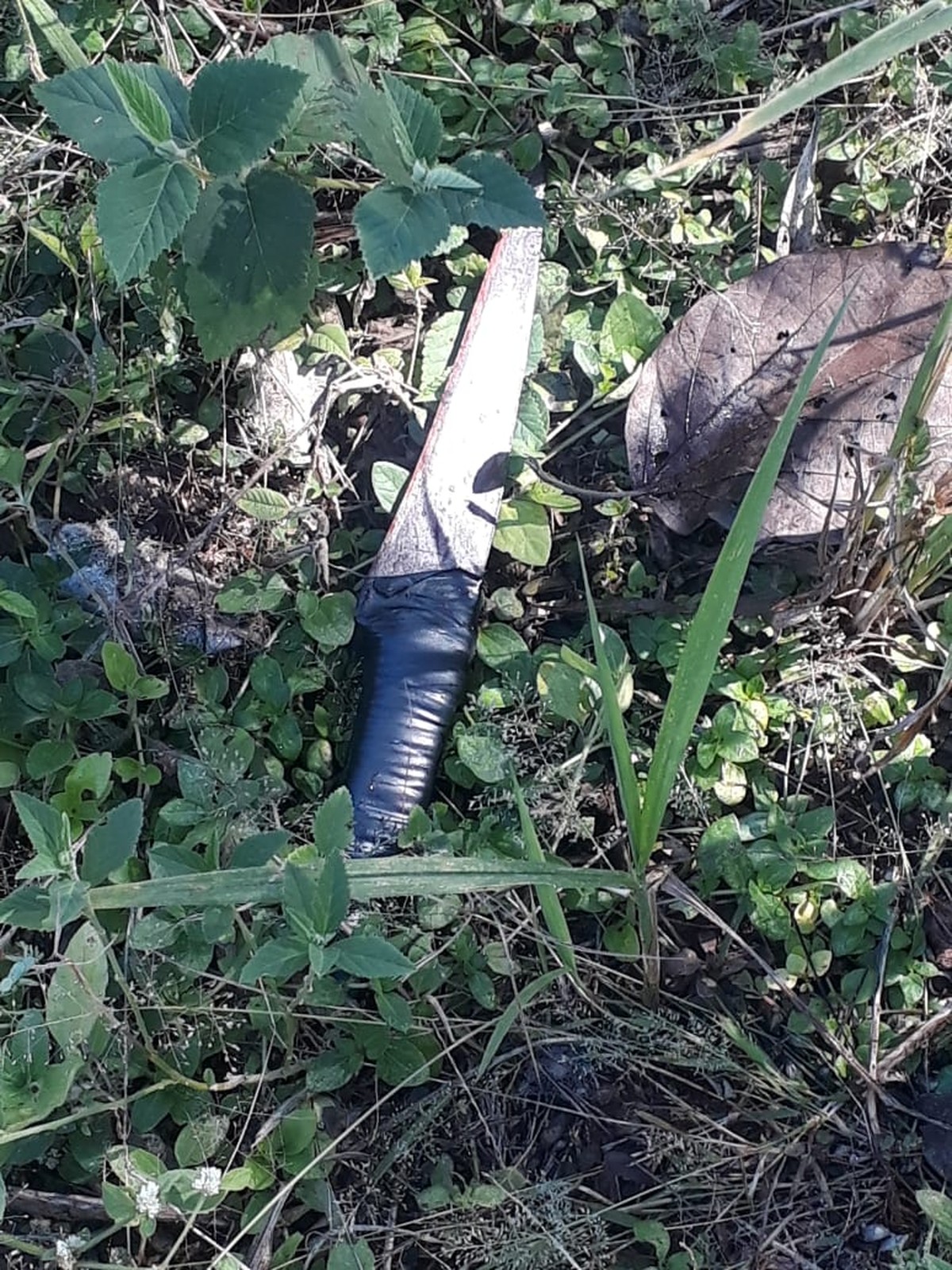 Mulher é Presa Suspeita De Matar Marido A Facadas Durante Briga Em