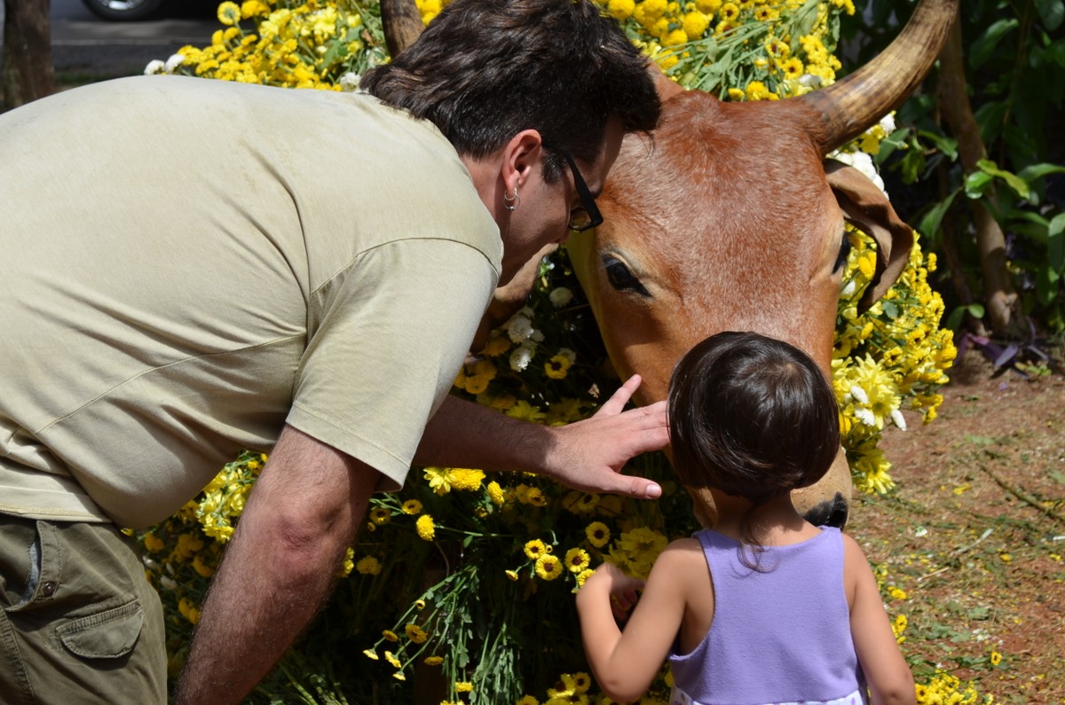 Maior evento agropecuário do Nordeste, Festa do Boi 2018 começa nesta ...