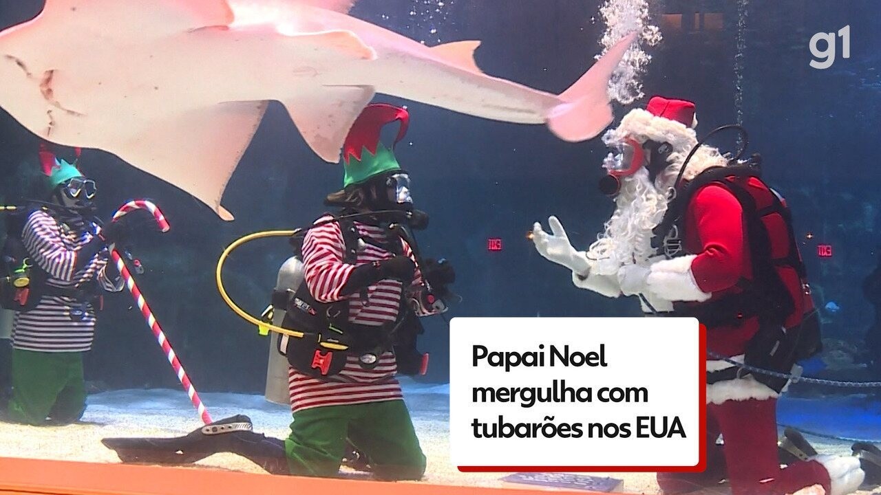 VÍDEO: Papai Noel nada com tubarões nos EUA | Mundo | G1