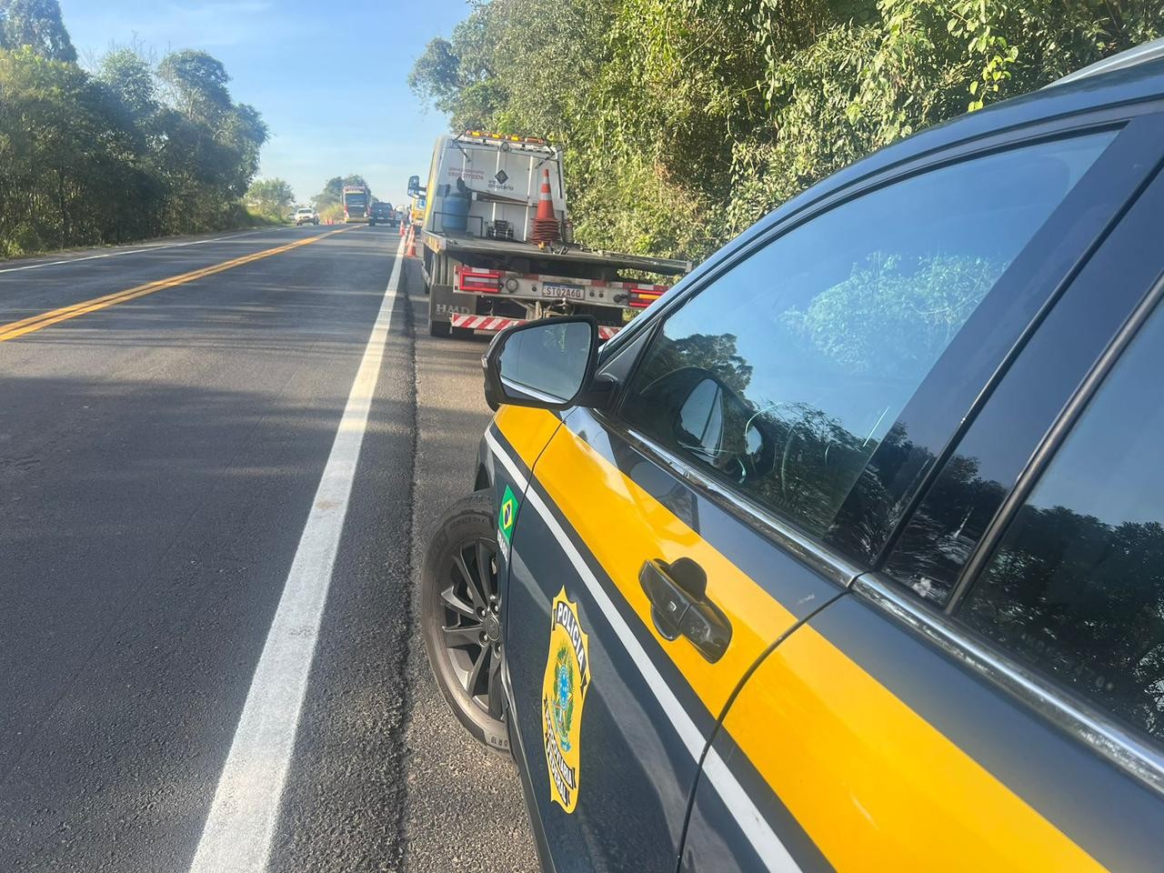 Motorista de carro morre após sair da pista e bater em árvore na BR-373, no Paraná | Campos ...