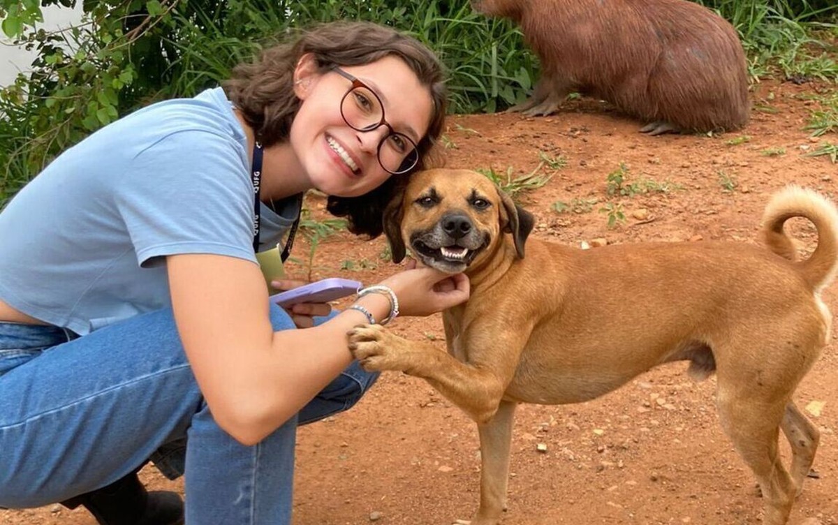 Dia do vira-lata: como está o cachorro caramelo que virou 'celebridade ...
