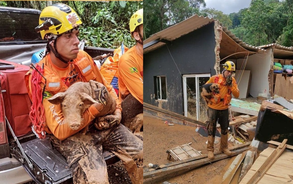 'Cenário de guerra', diz agente da Defesa Civil que atuou no resgate de ...