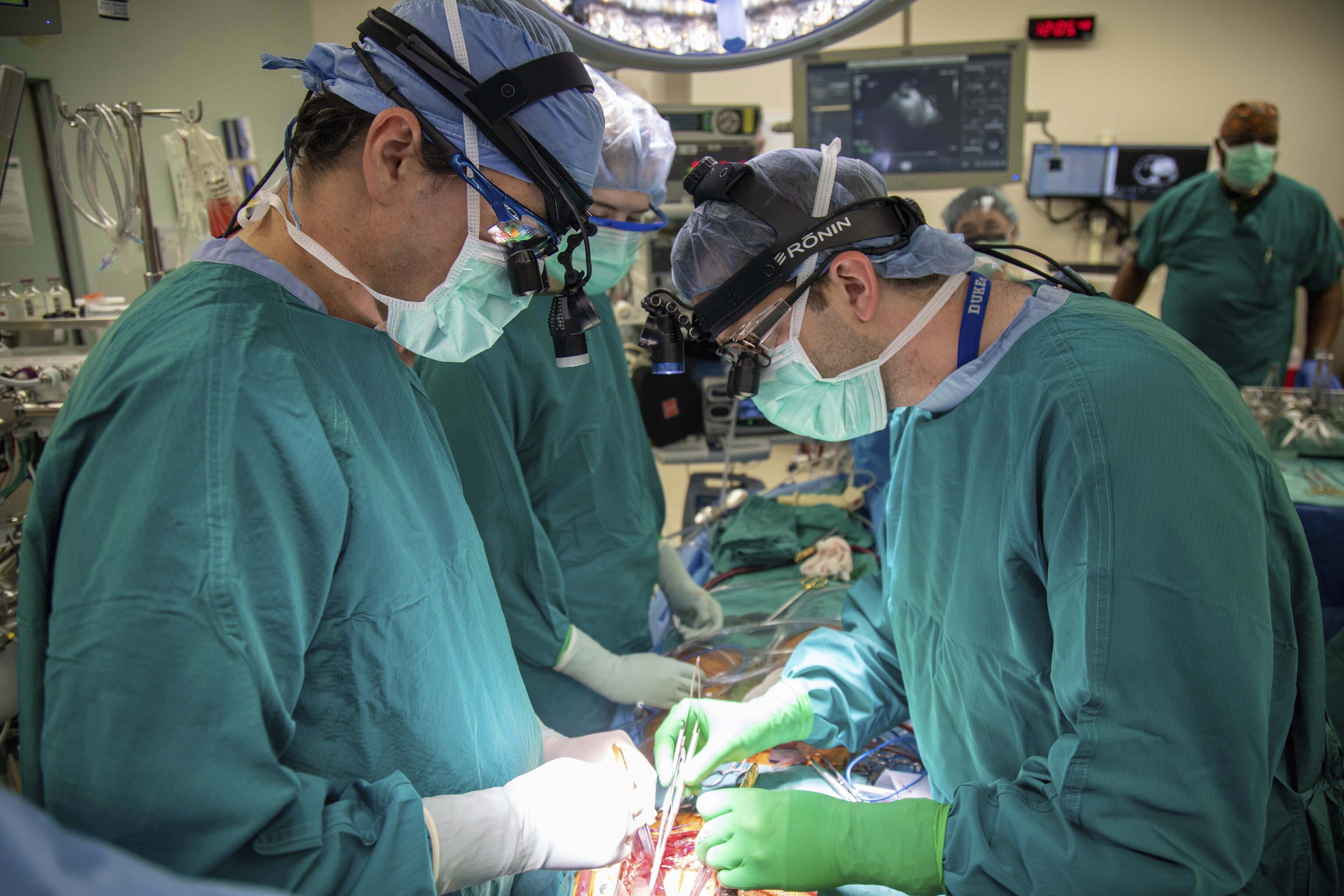 Novo método de transplante de coração pode ajudar a reduzir fila de ...