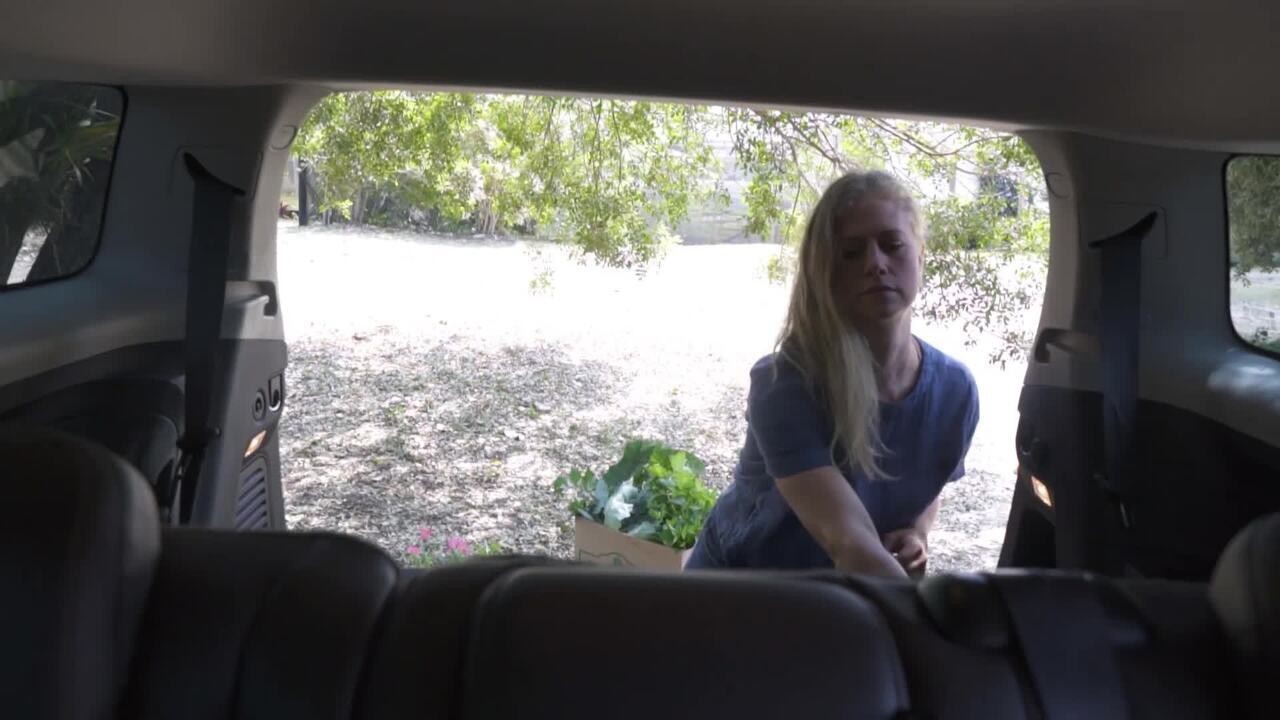 Deborah Gaiotto e as flores comestíveis: “trabalhar com a natureza é ...