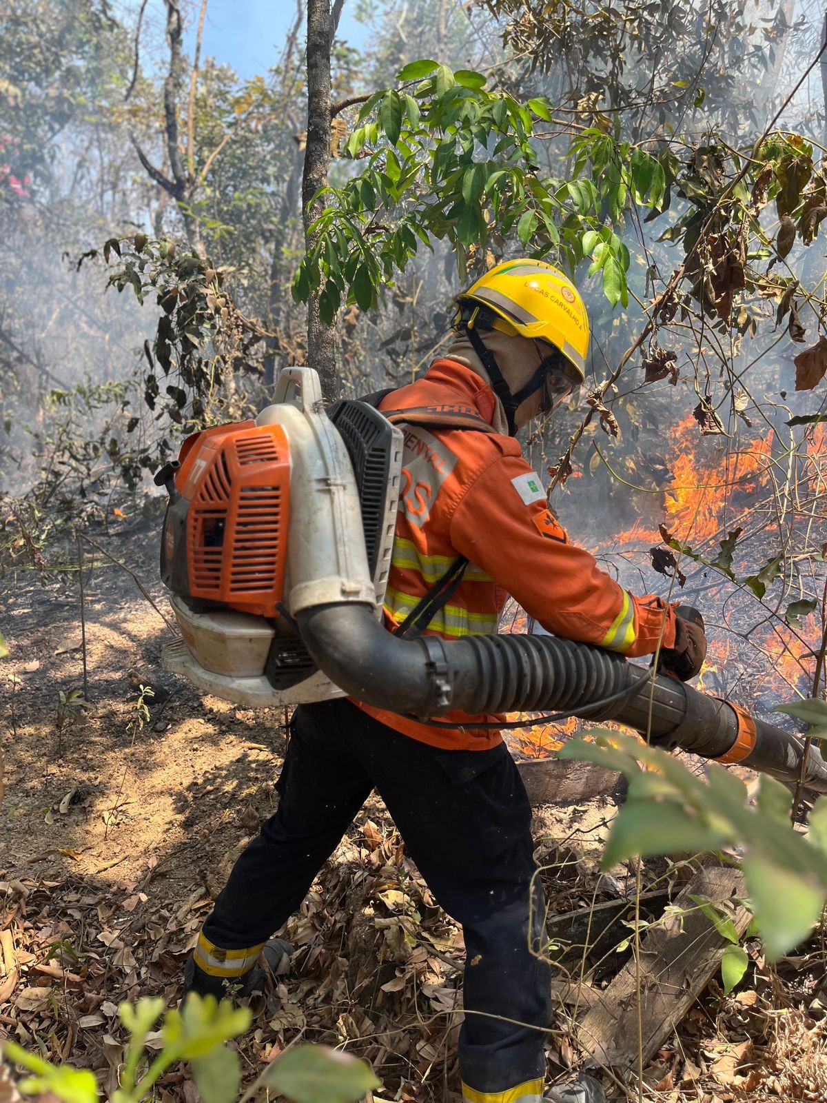 Das 7h às 7h do dia seguinte: saiba como é a rotina de um bombeiro ...