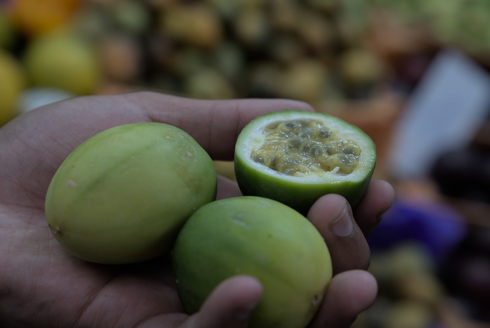Caro e raro: maracujá silvestre pode chegar a custar R$ 200 o quilo e ...