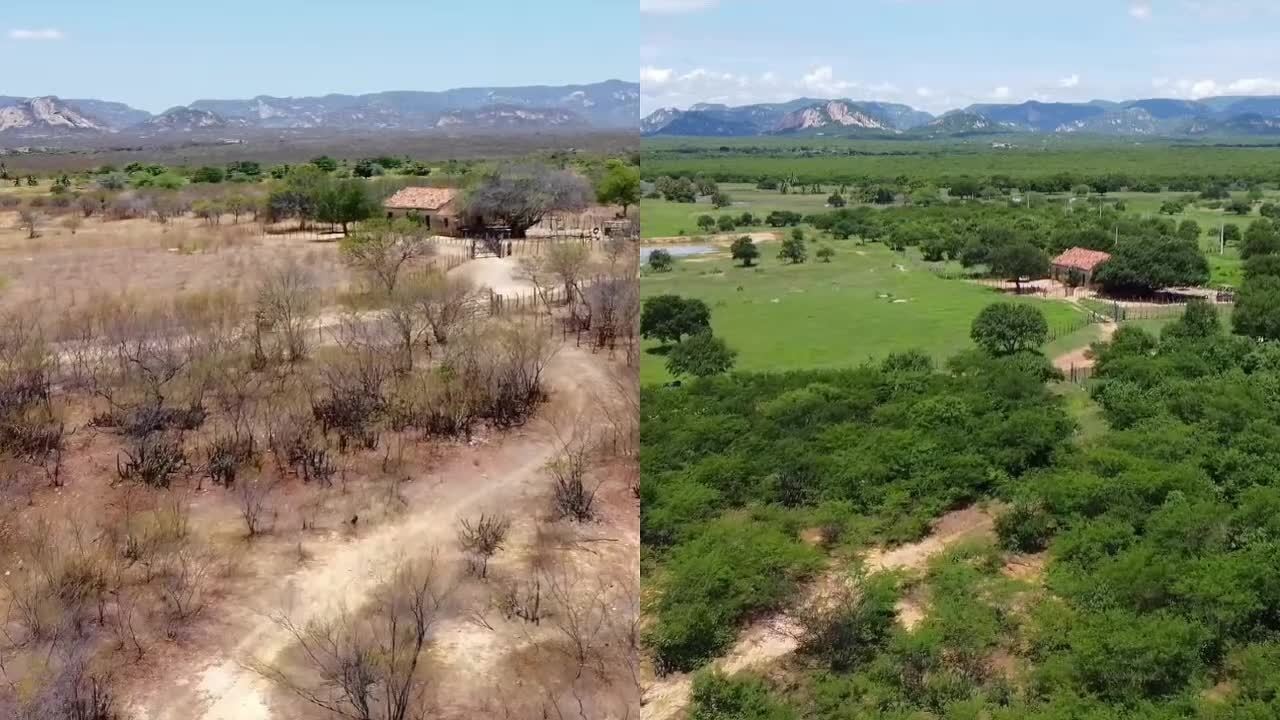 Antes e depois: Imagens mostram transformação de cenário entre períodos ...