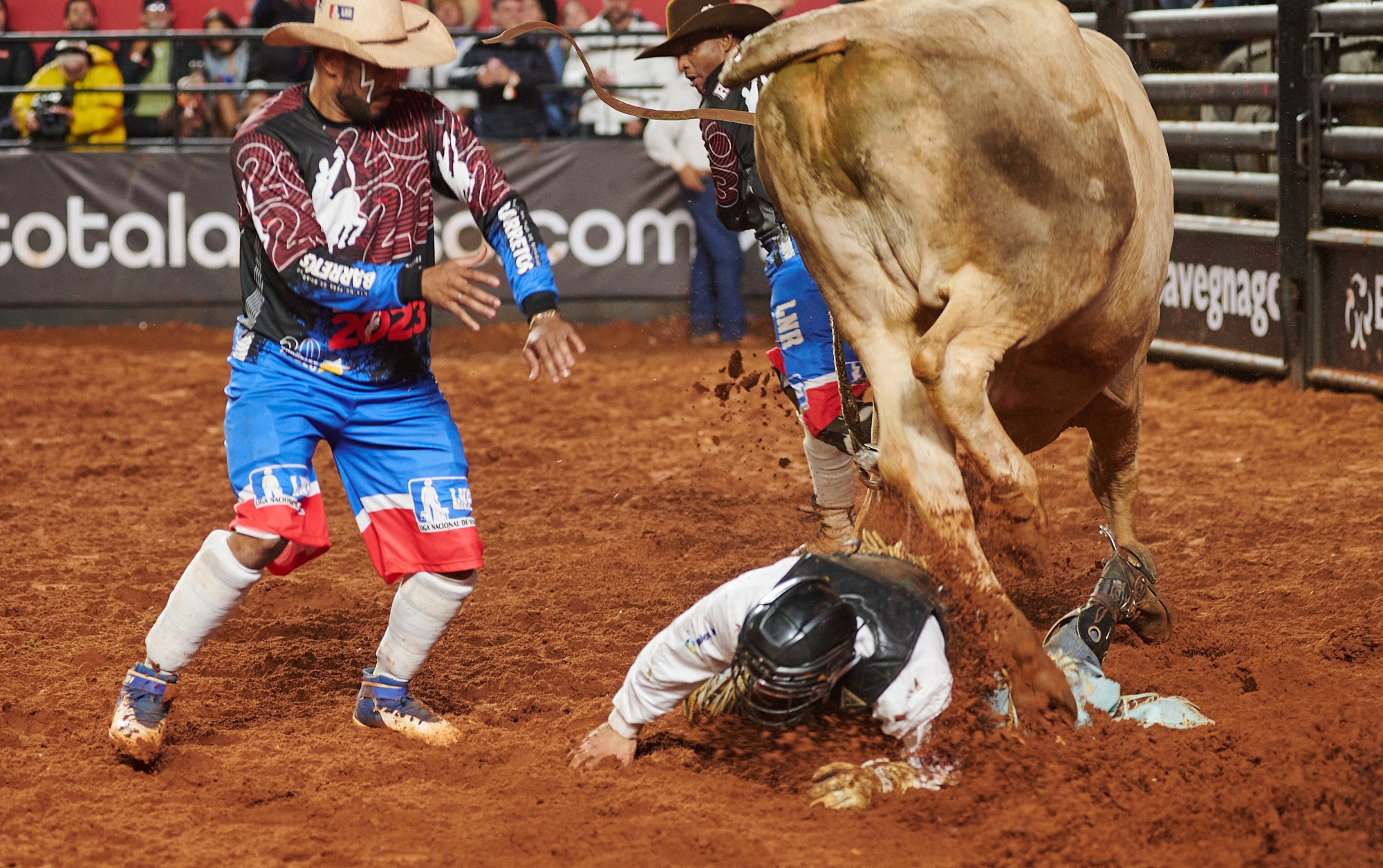 Com menor nota da final, brasileiro vence Rodeio Internacional em ...