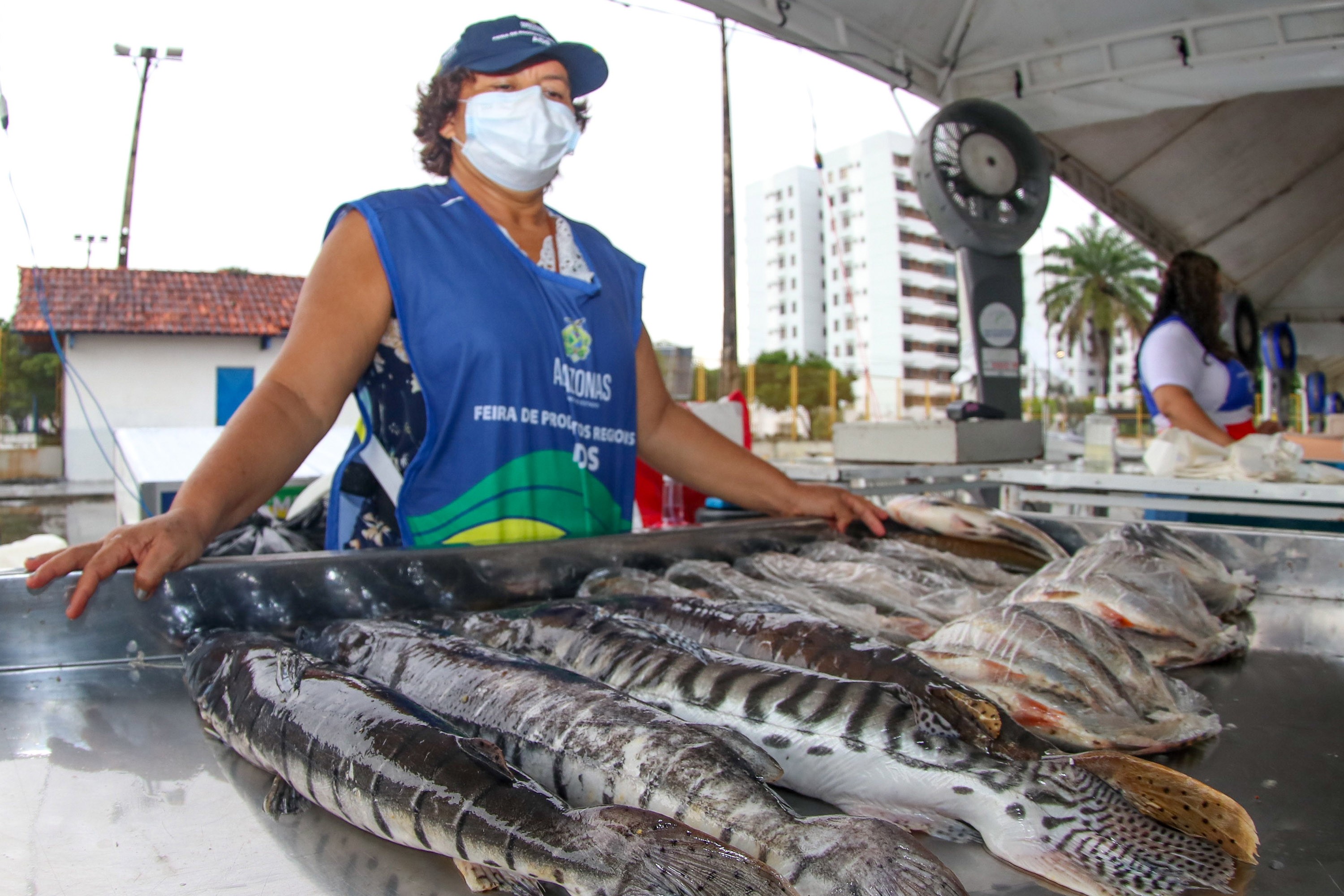 'Feirão do Pescado' tem peixes com preços a partir de R$ 9 em Manaus | G1