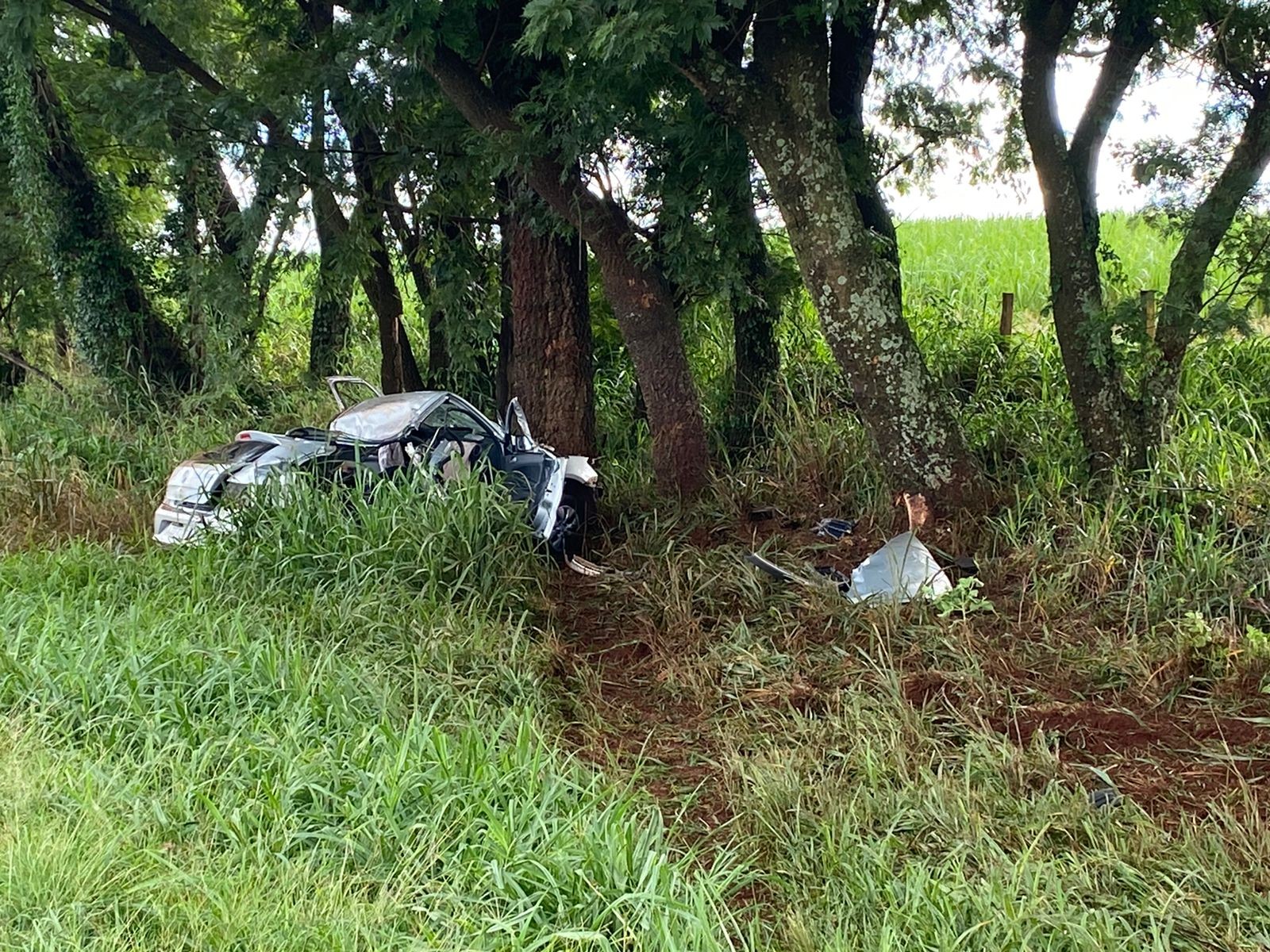 Mulher morre após carro capotar e bater em árvore em rodovia próximo a Cravinhos, SP | Ribeirão ...