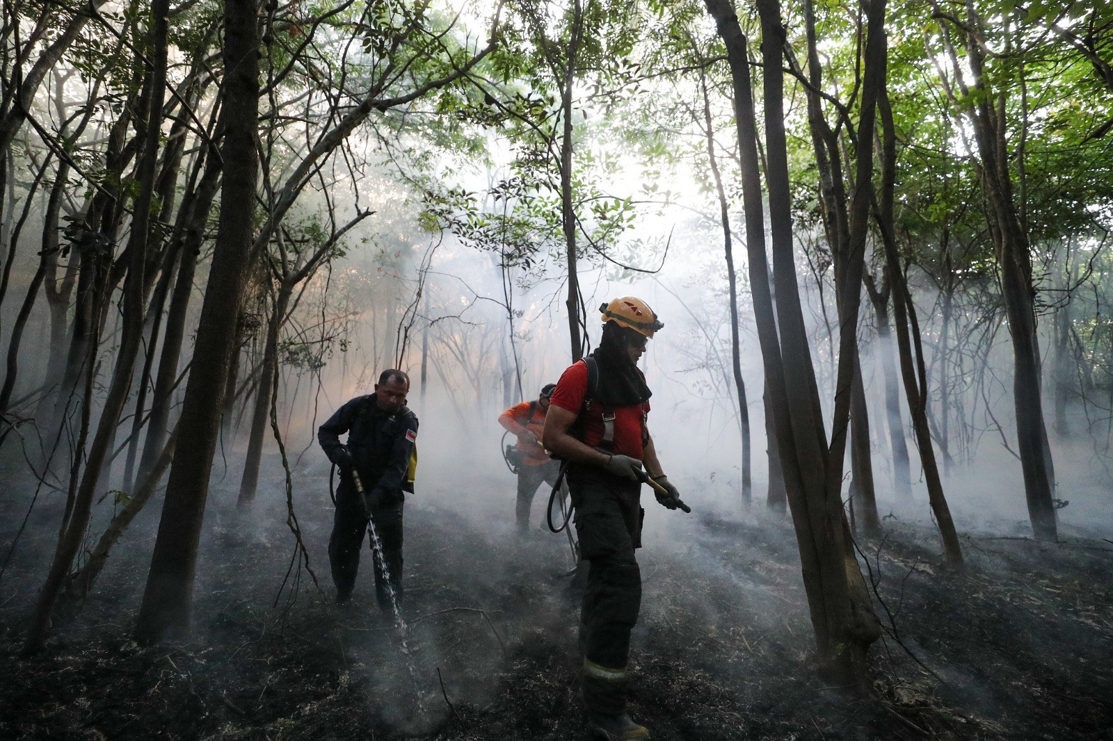 Incêndio de grande proporção atinge área de floresta no Amazonas ...