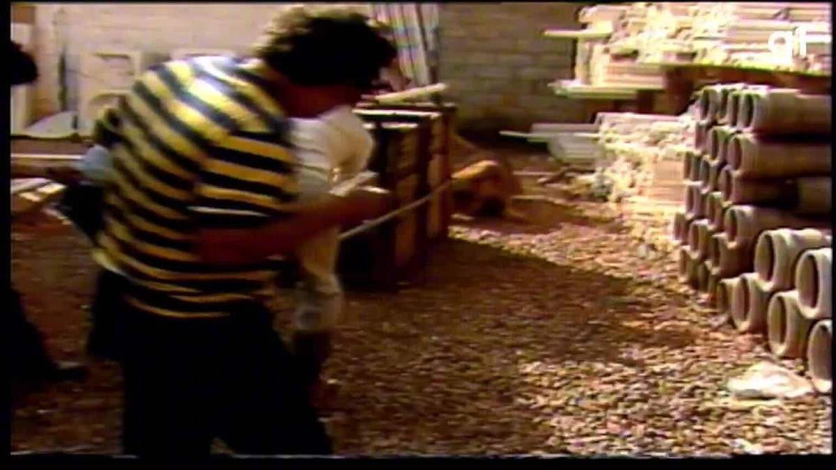 Conheça a história do leão 'criado como cachorro' que fugiu pelas ruas ...
