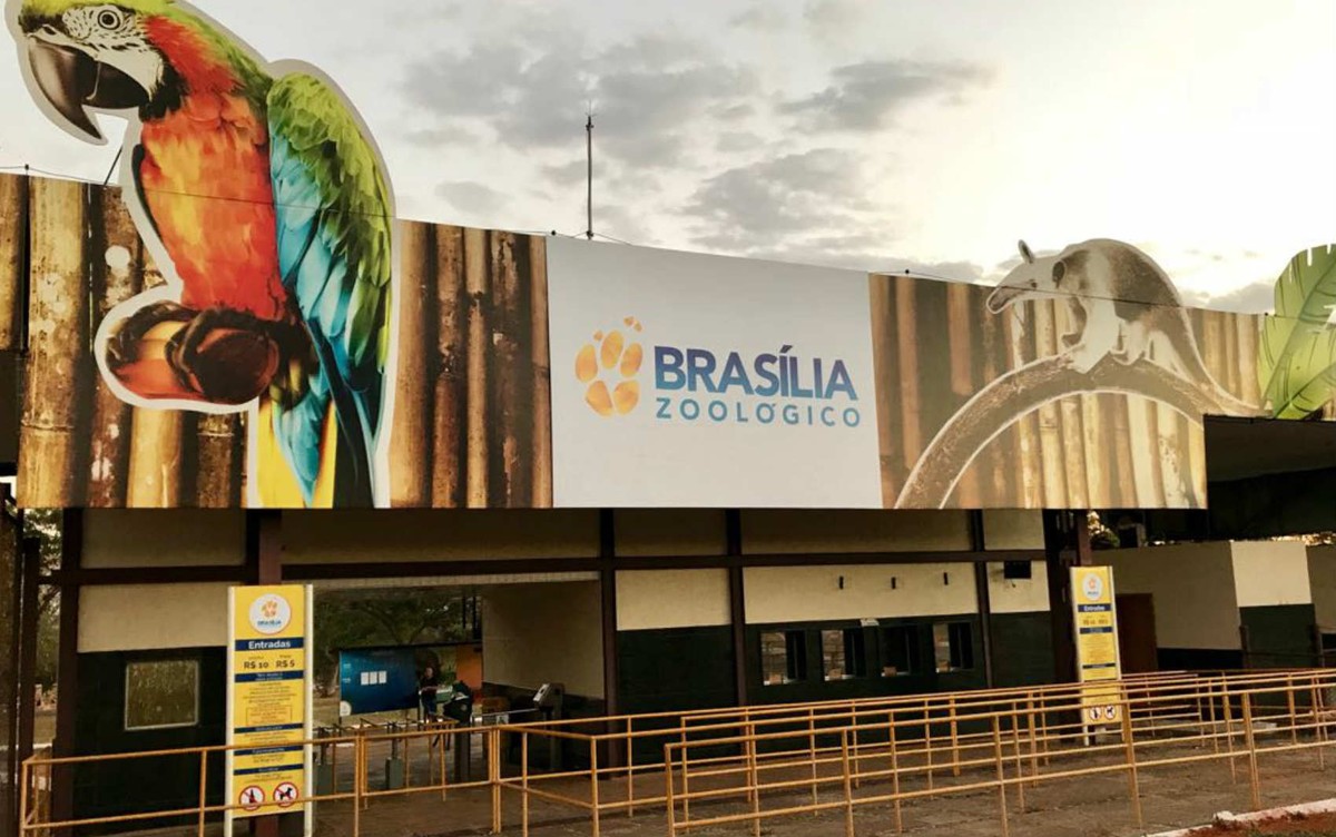 Zoológico de Brasília demite 5 terceirizados após suposto golpe na ...