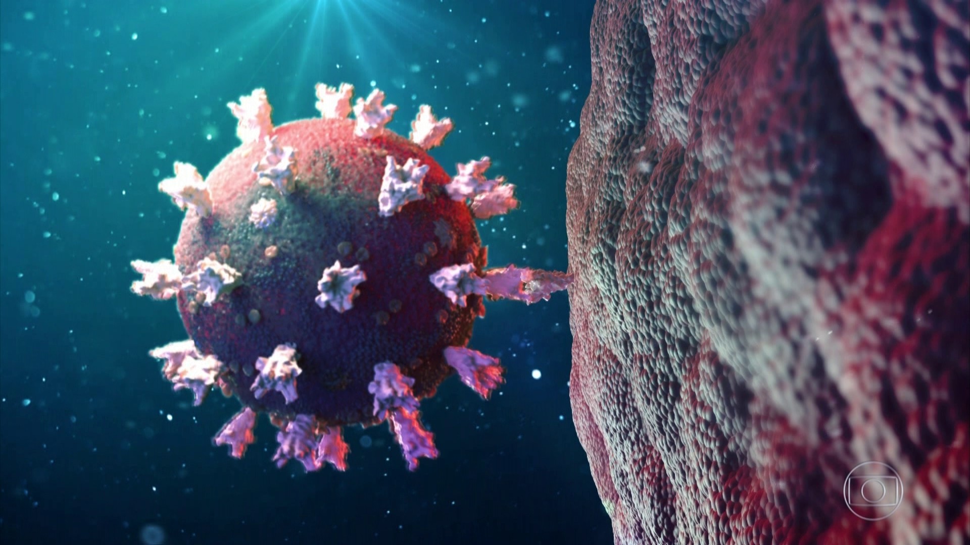 Taxa de transmissão da Covid-19 sobe para 1,21 no Brasil, aponta ...