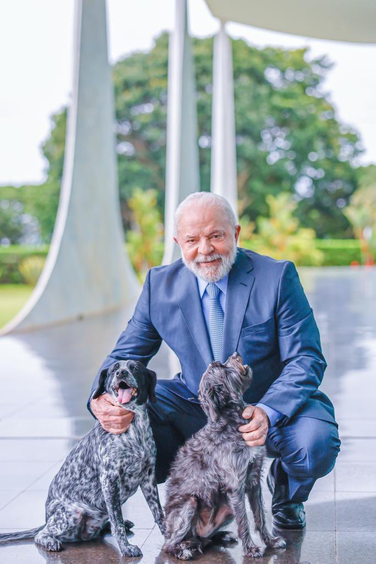 Lula publica fotos das cachorrinhas Resistência e Paris para celebrar ...