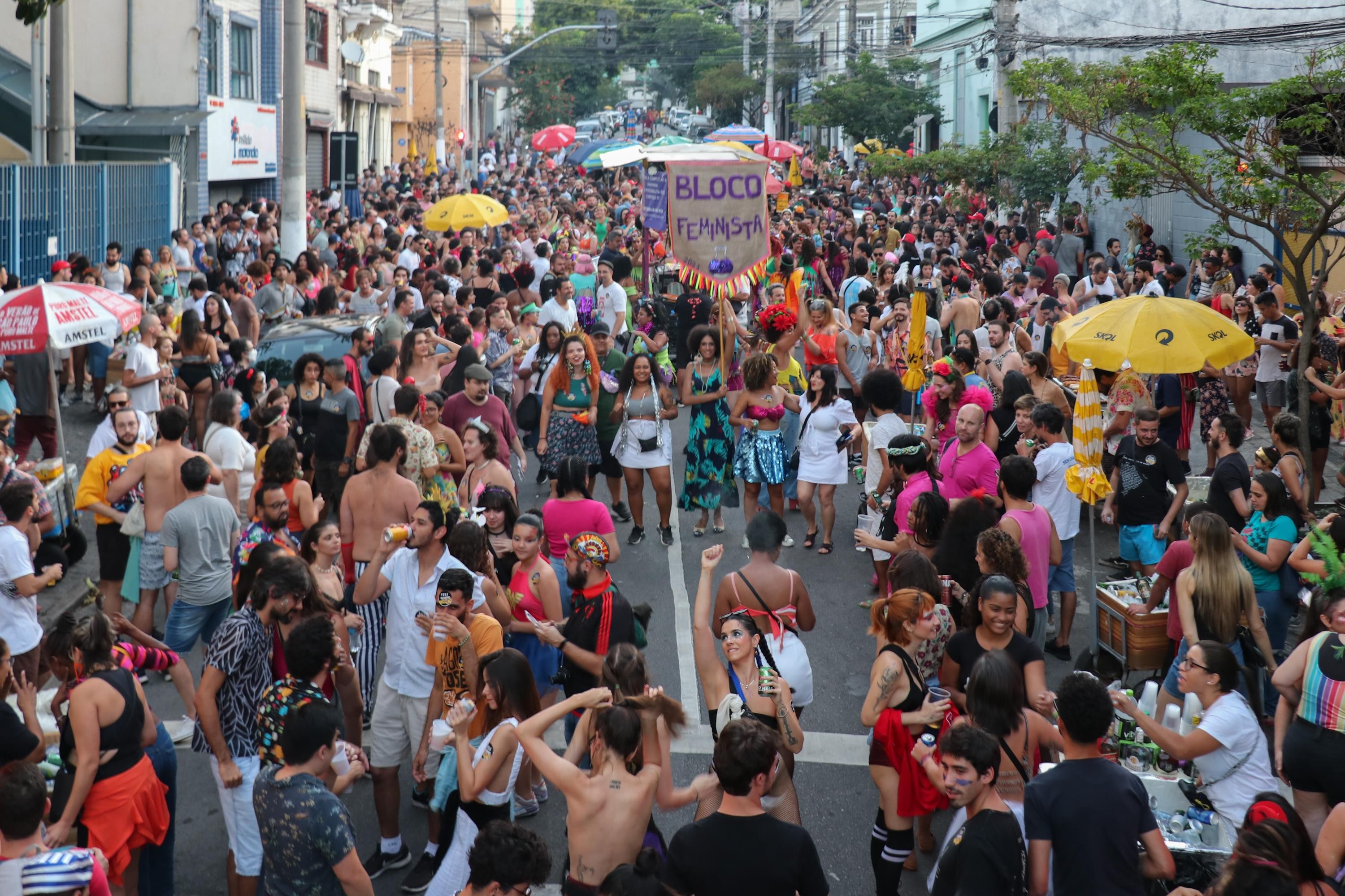 Pré-carnaval começa oficialmente em SP com desfiles de Carnakoo, Baixo ...