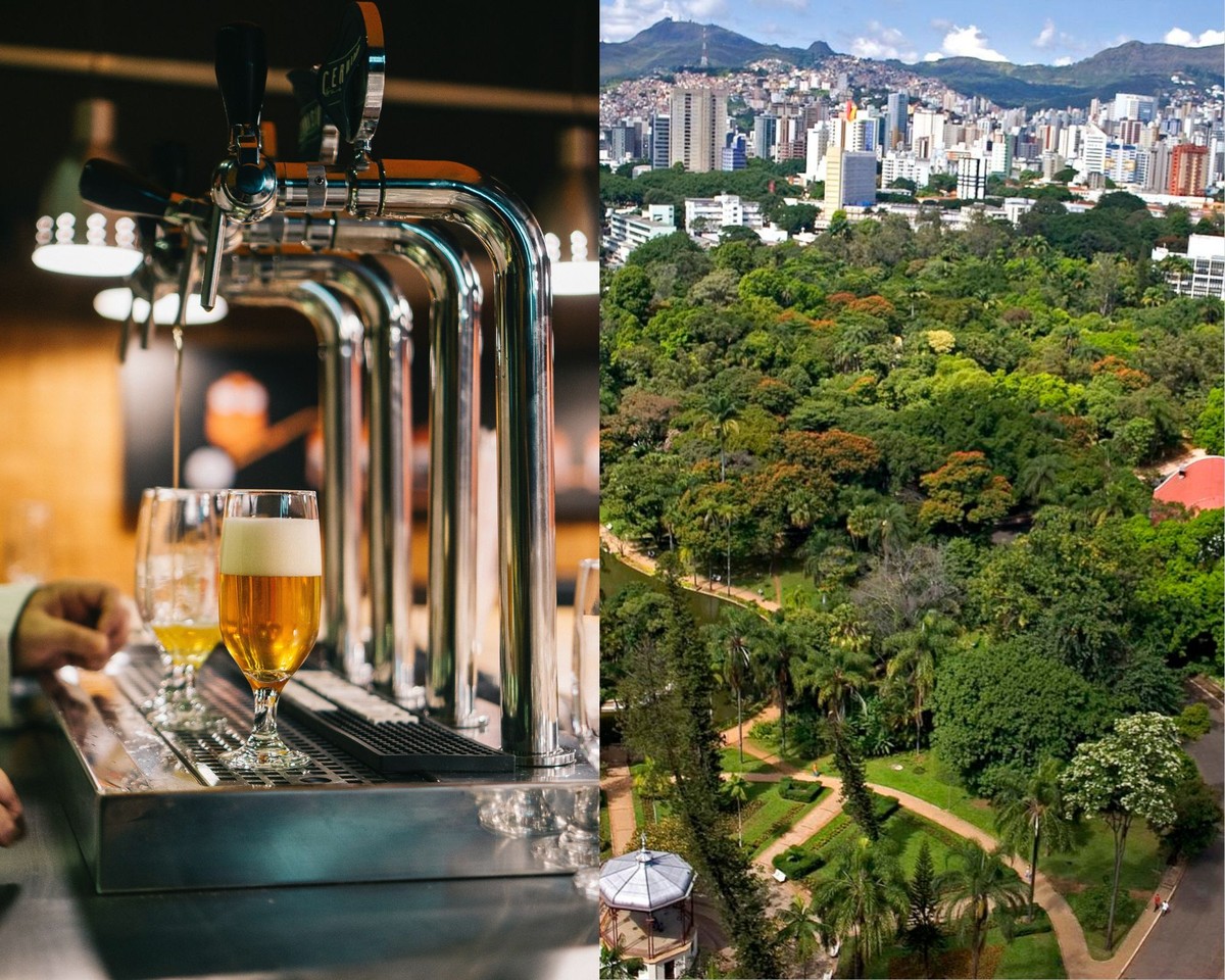 Festival de cerveja artesanal reúne amantes da bebida no Parque ...