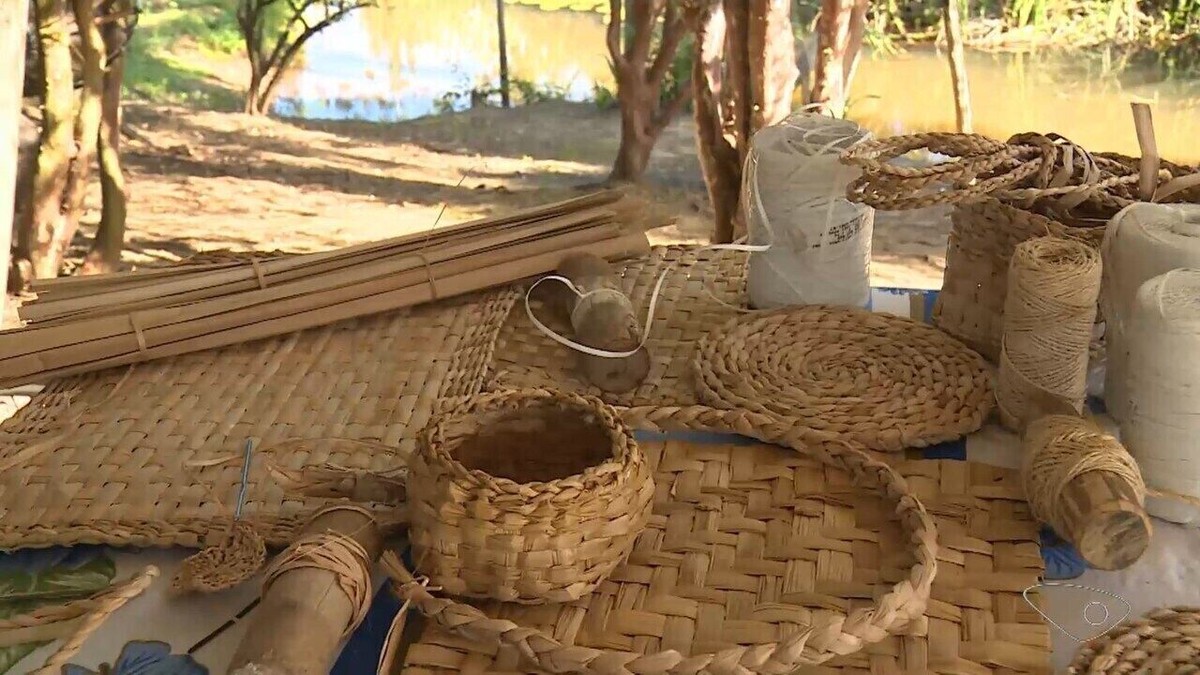 Técnica de artesanato com planta aquática taboa é passada entre ...