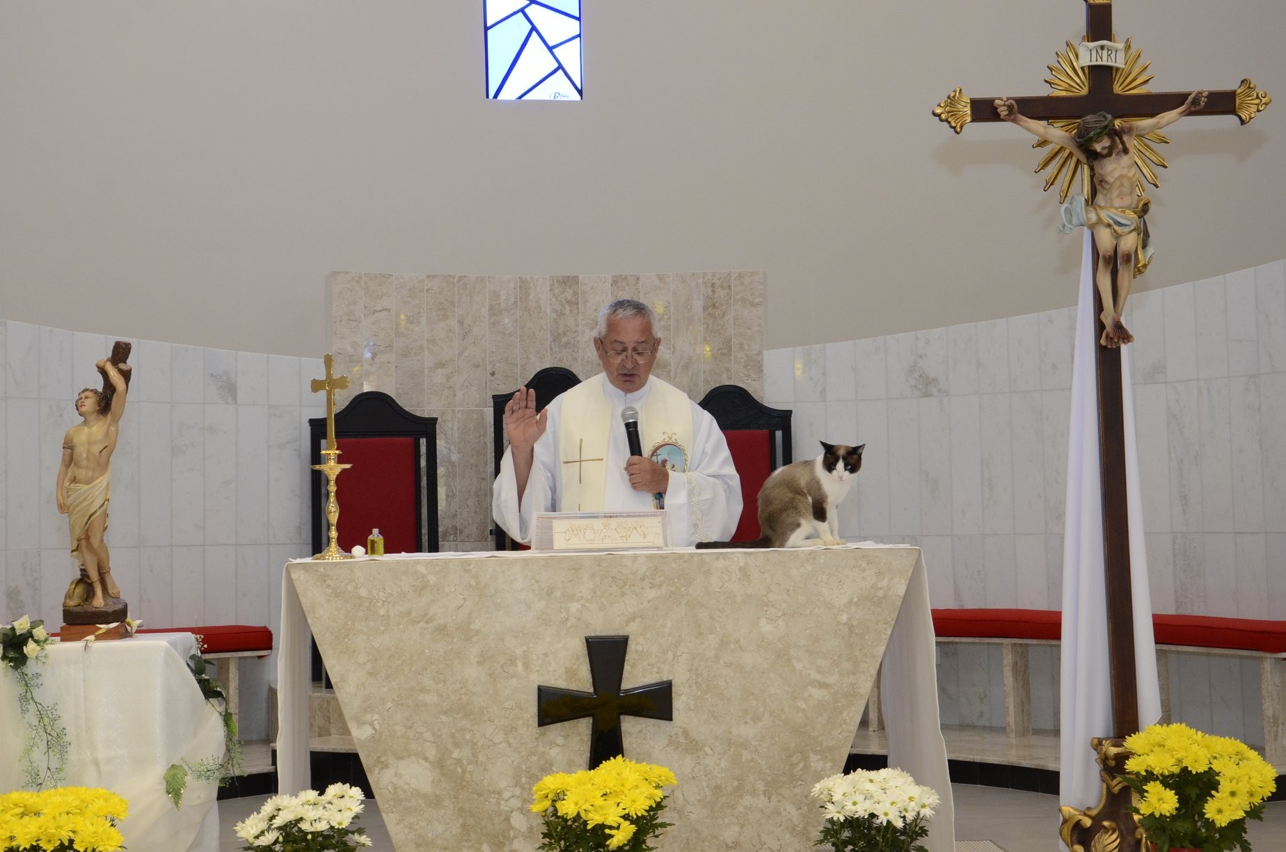 Gato 'fiel' acompanha missa no altar de igreja e viraliza na web | G1