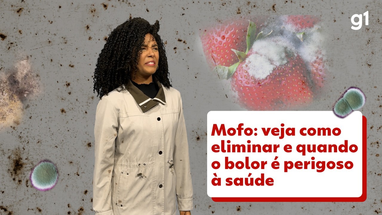 Mofo: veja como eliminar e quando o bolor é perigoso à saúde | G1