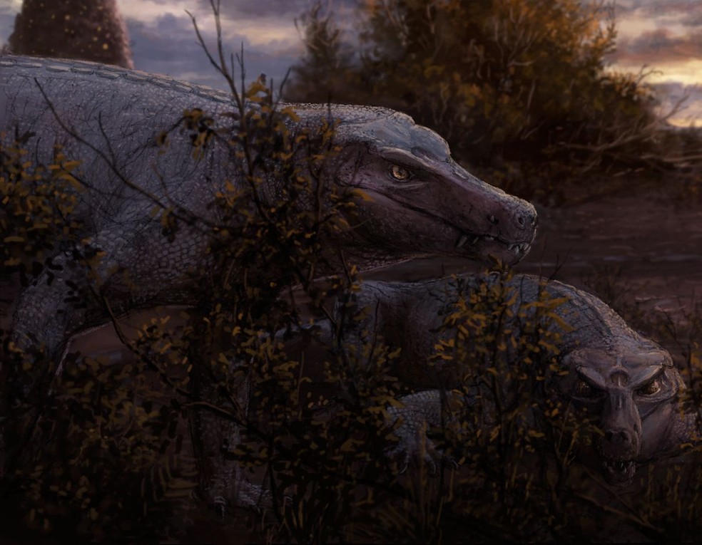 Crocodilo Gigante Pre Historico