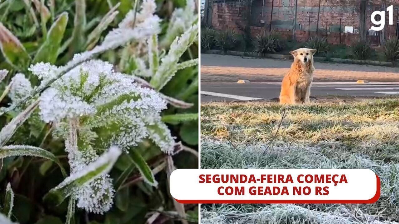 RS registra temperaturas negativas e geada; veja imagens