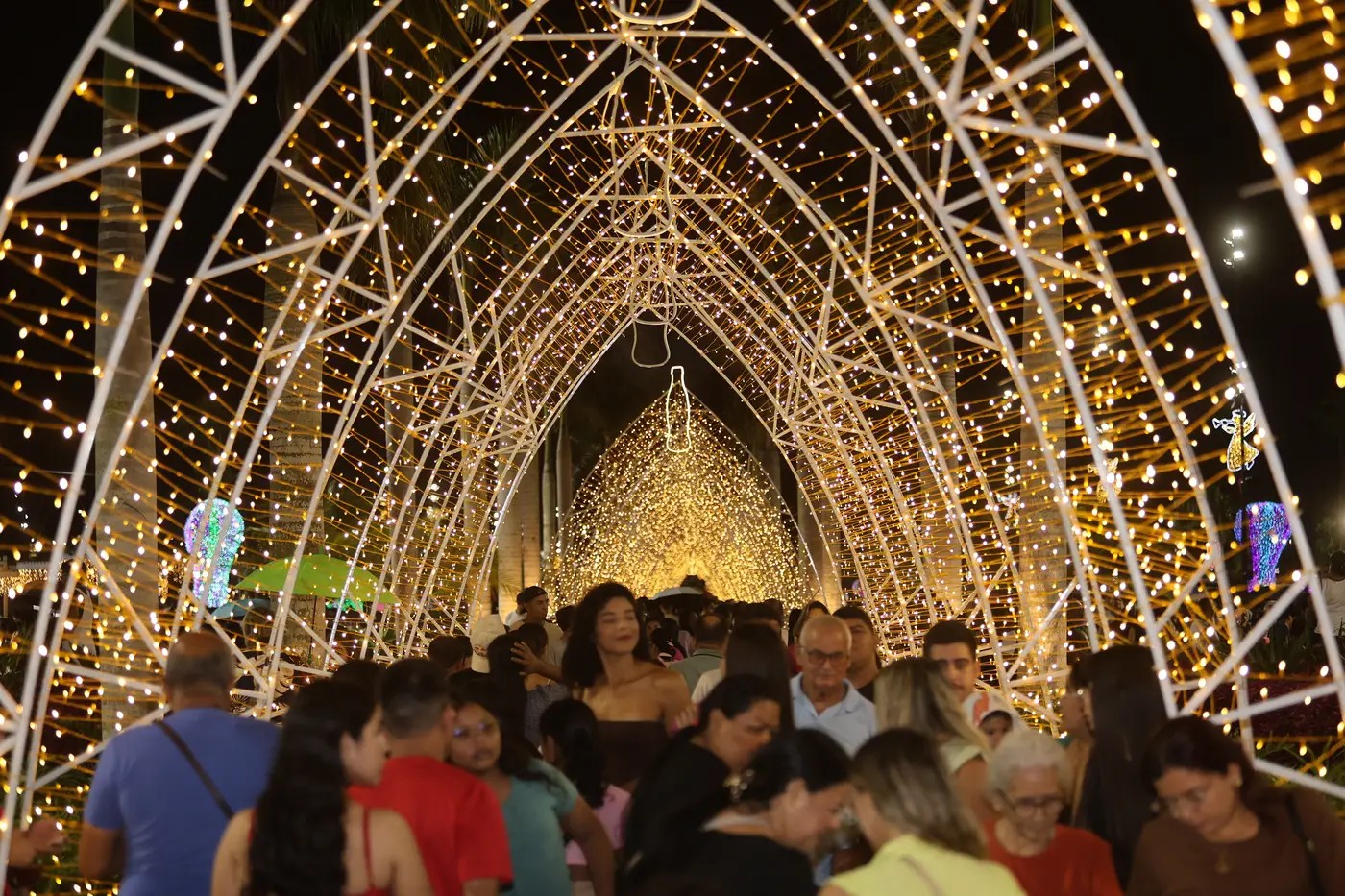 Parque da Cidade fecha até sexta para retirada da decoração de Natal | G1