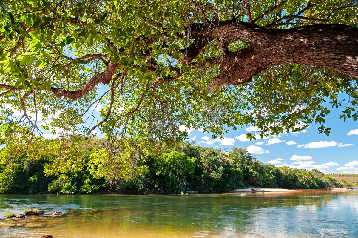 Confira dicas valiosas para fotografar a natureza | Terra da Gente | G1