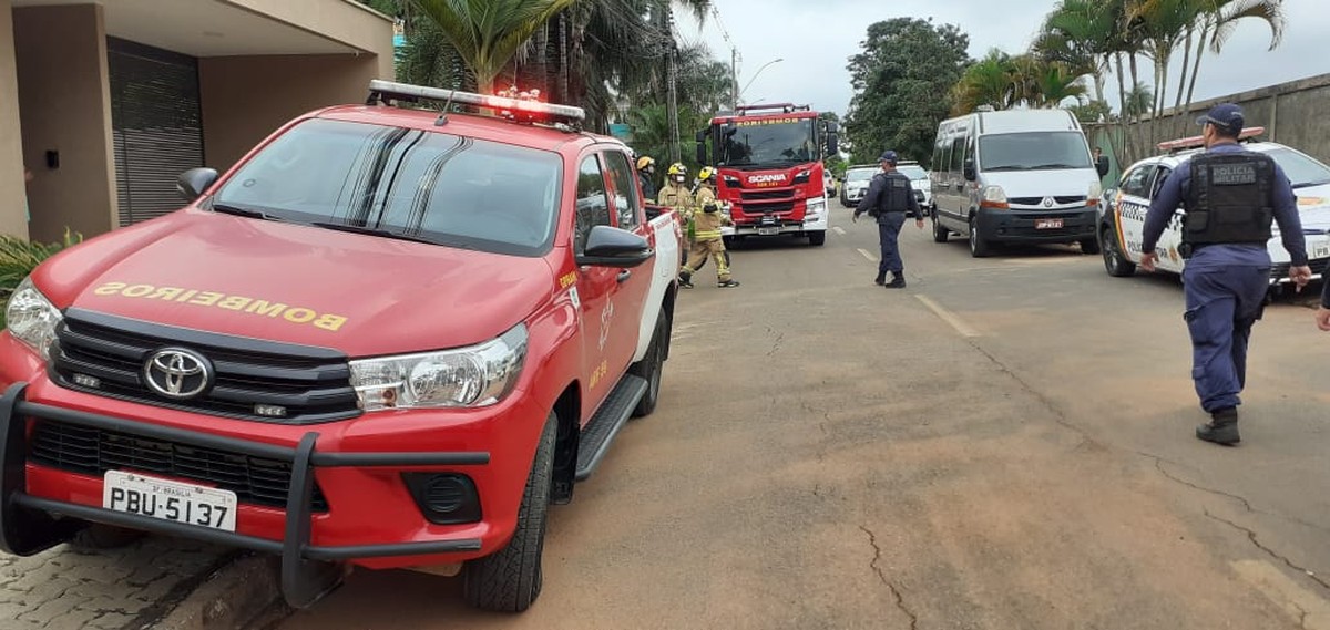 Pit bull sem focinheira ataca homem em pista de cooper no DF e é ...