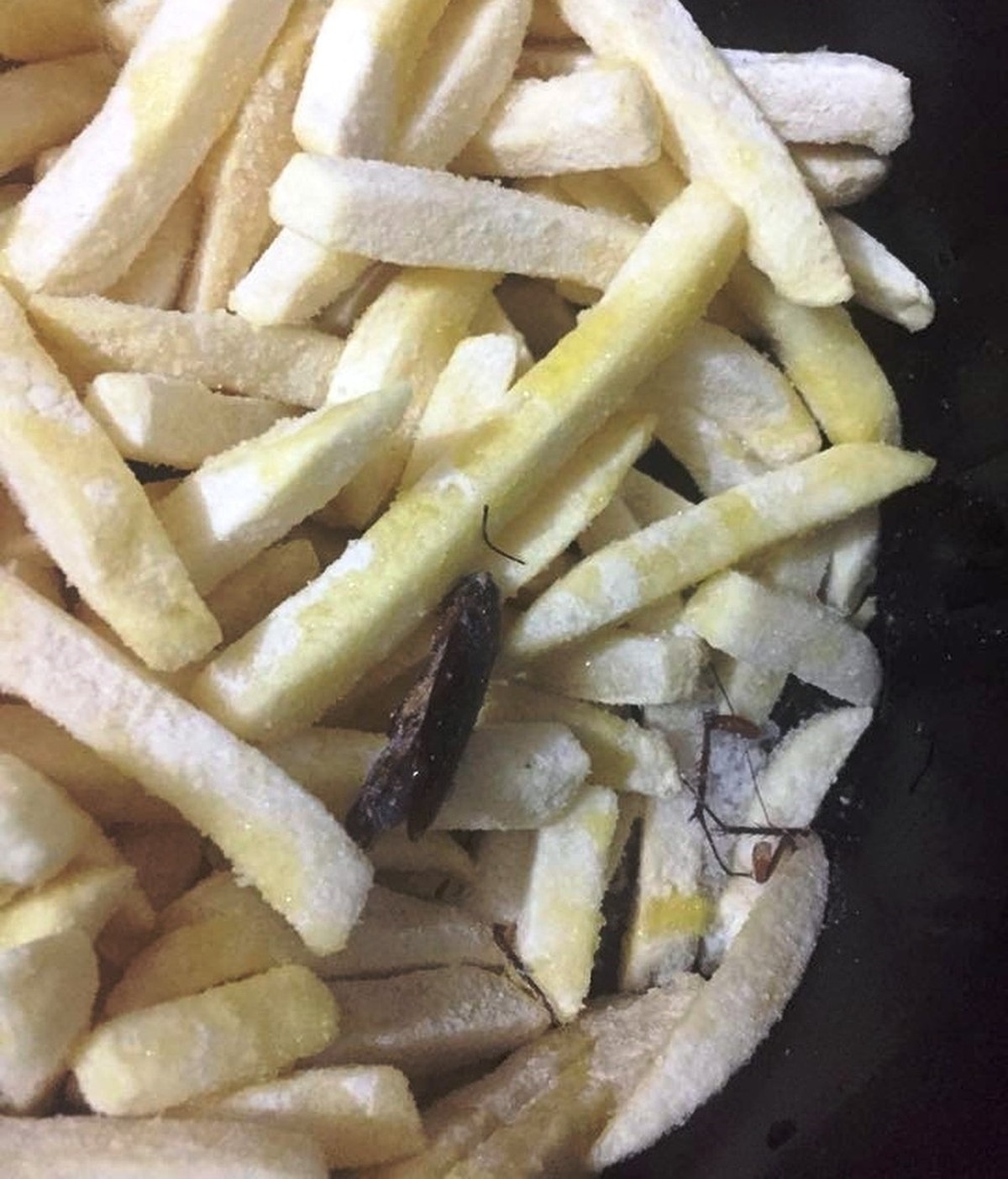 Família encontra barata em pacote de batata frita congelada ...