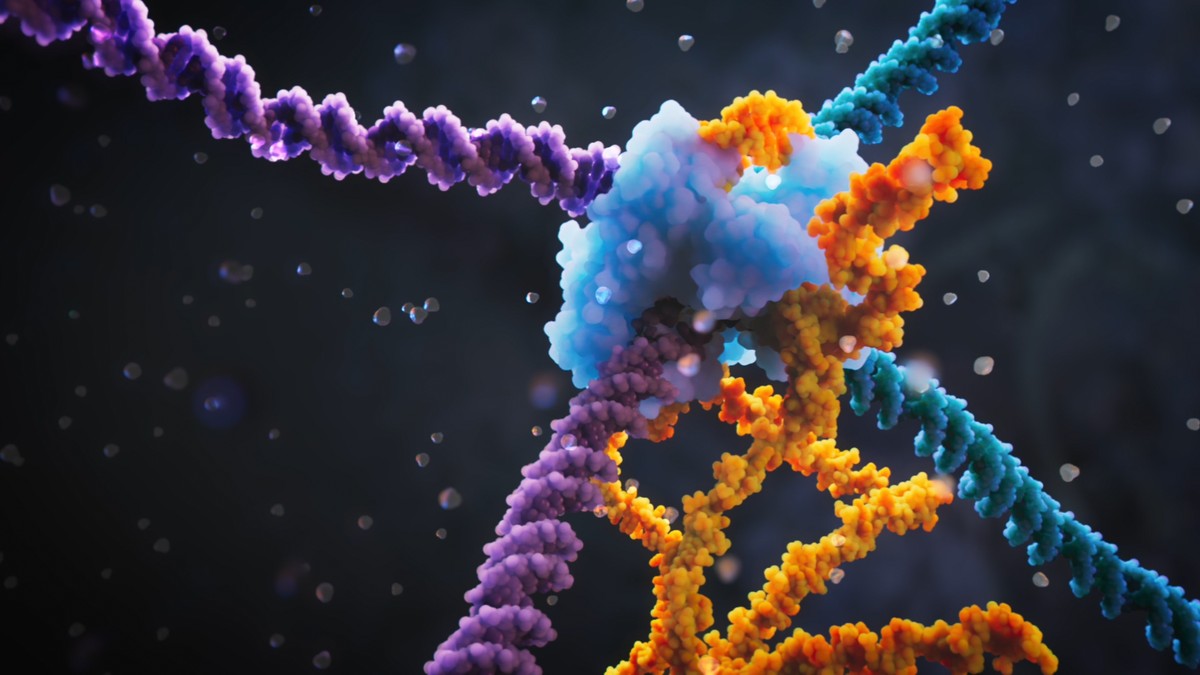 3ª geração da edição do DNA: nova técnica promete superar Crispr e dar ...