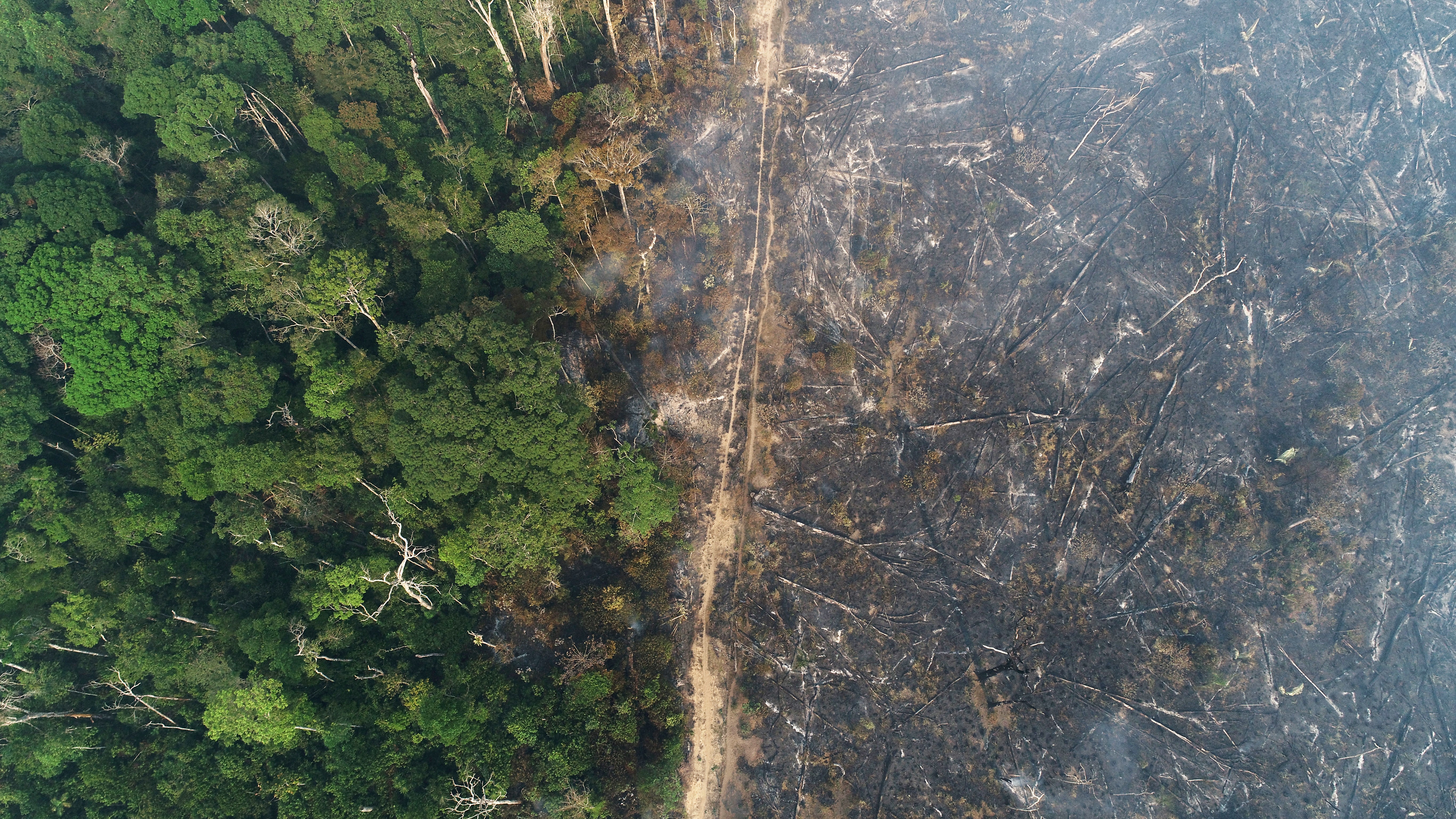 Desmatamento em terras indígenas: Amazonas lidera ranking em 2025 | G1