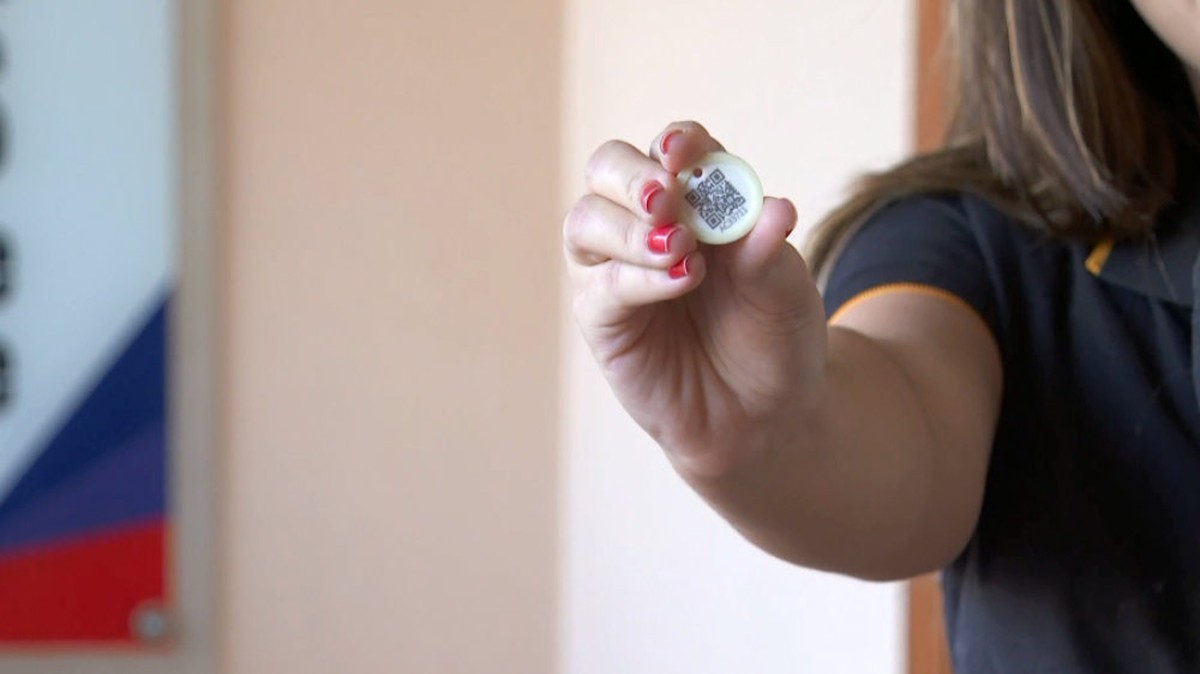 Araras tem mutirão para fazer microchipagem de animais para reduzir ...