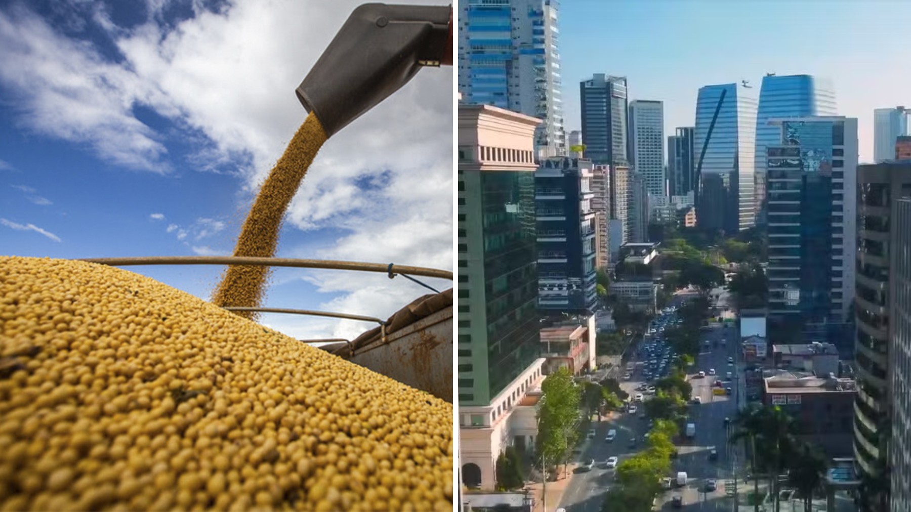 Carga de soja com nota falsa da Av. Faria Lima é apreendida no Paraná | G1