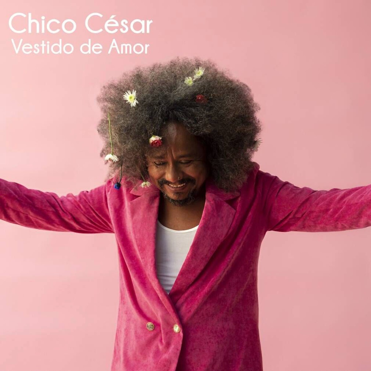 Chico César lança outra pedrada em ritmo de reggae no álbum 'Vestido de ...