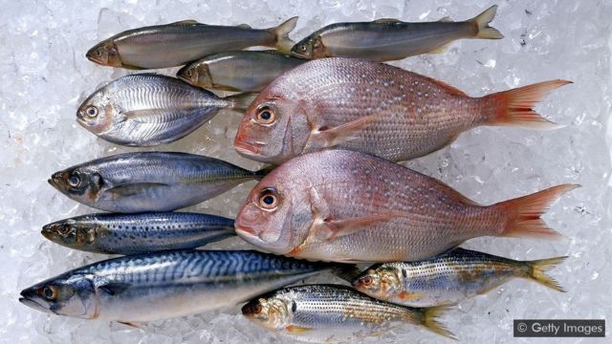 Os riscos e benefícios à saúde do consumo de peixe | Bem Estar | G1