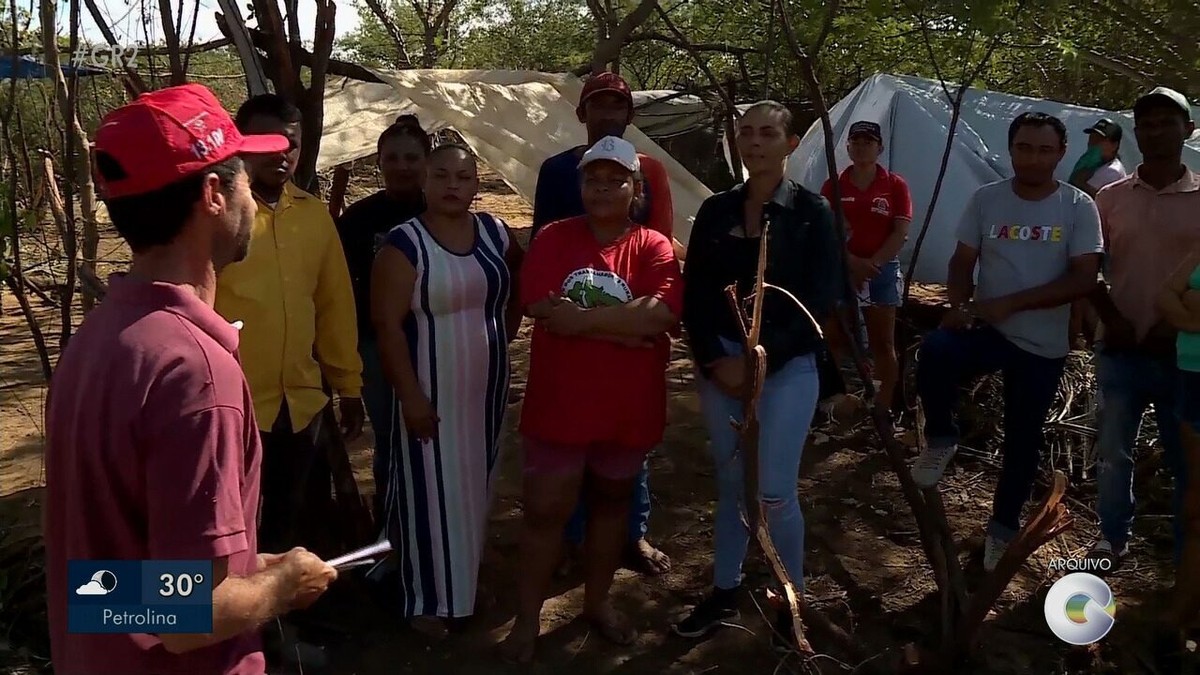 Integrantes do MST ocupam área da Embrapa em Pernambuco às vésperas do ...