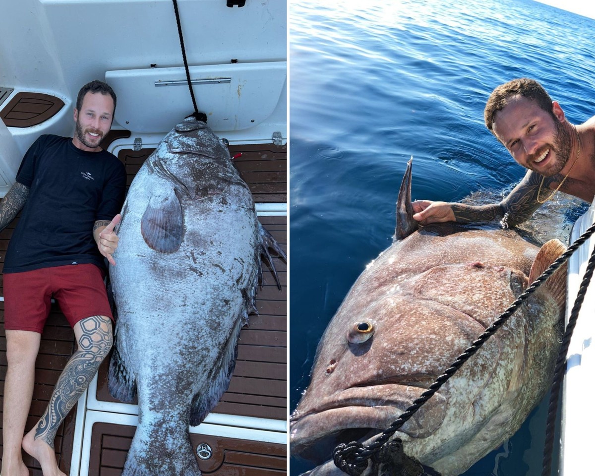 Peixe 'gigante' de 180 kg abocanha presa e acaba fisgado sem querer no ...