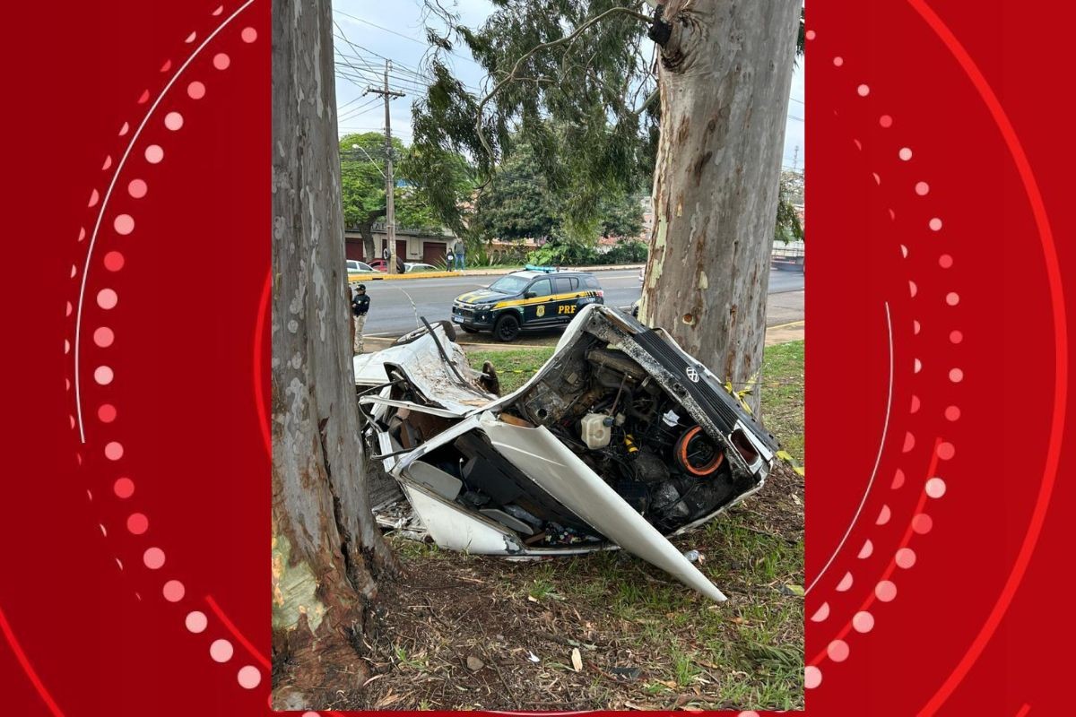 Idoso perde controle do carro, entra em rodovia, bate em árvore e morre após ser ejetado, no PR